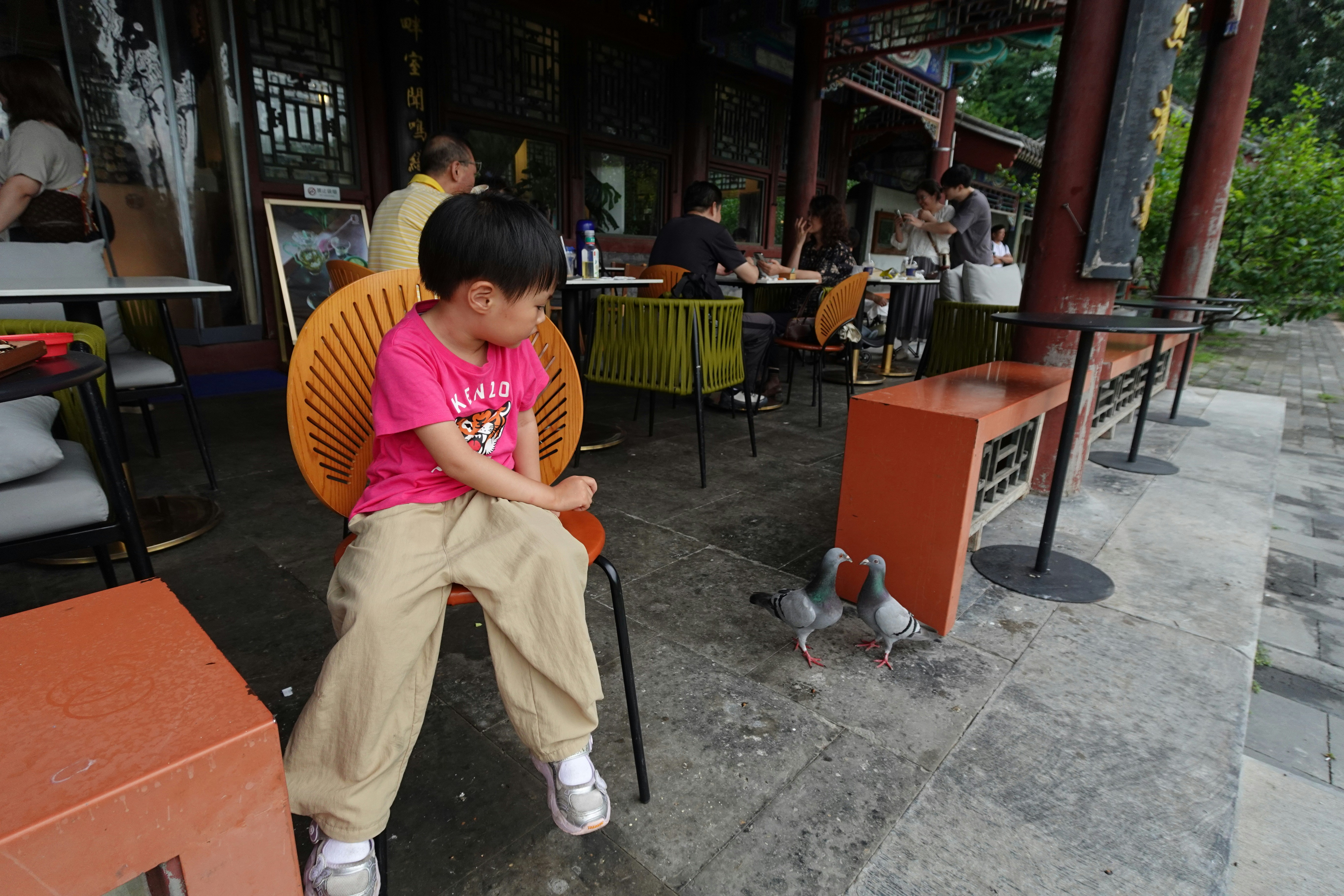 Child in a Tangled Garden of Colors by the Courtyard