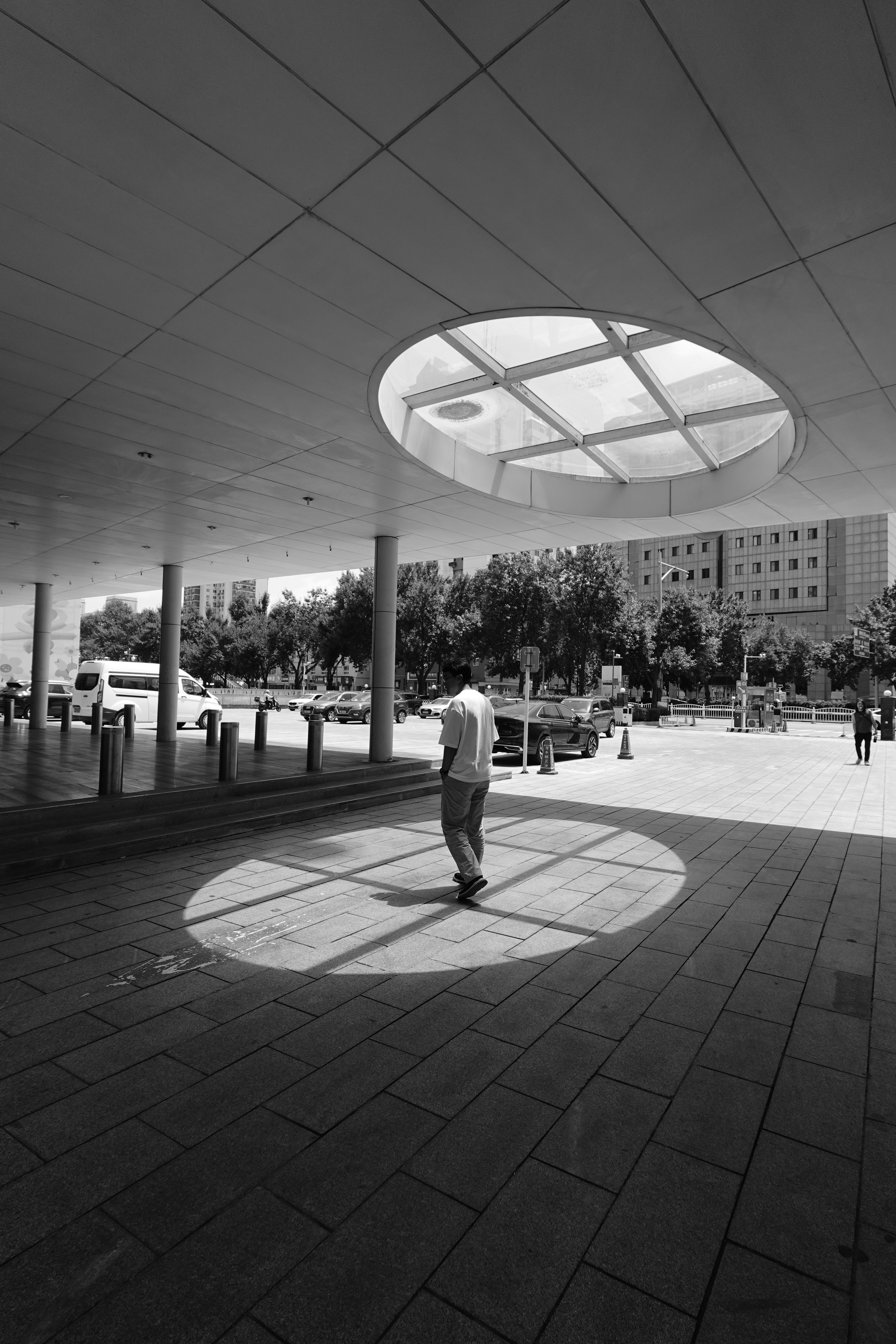 Circles of Light: A Pedestrian Beneath the Rotunda