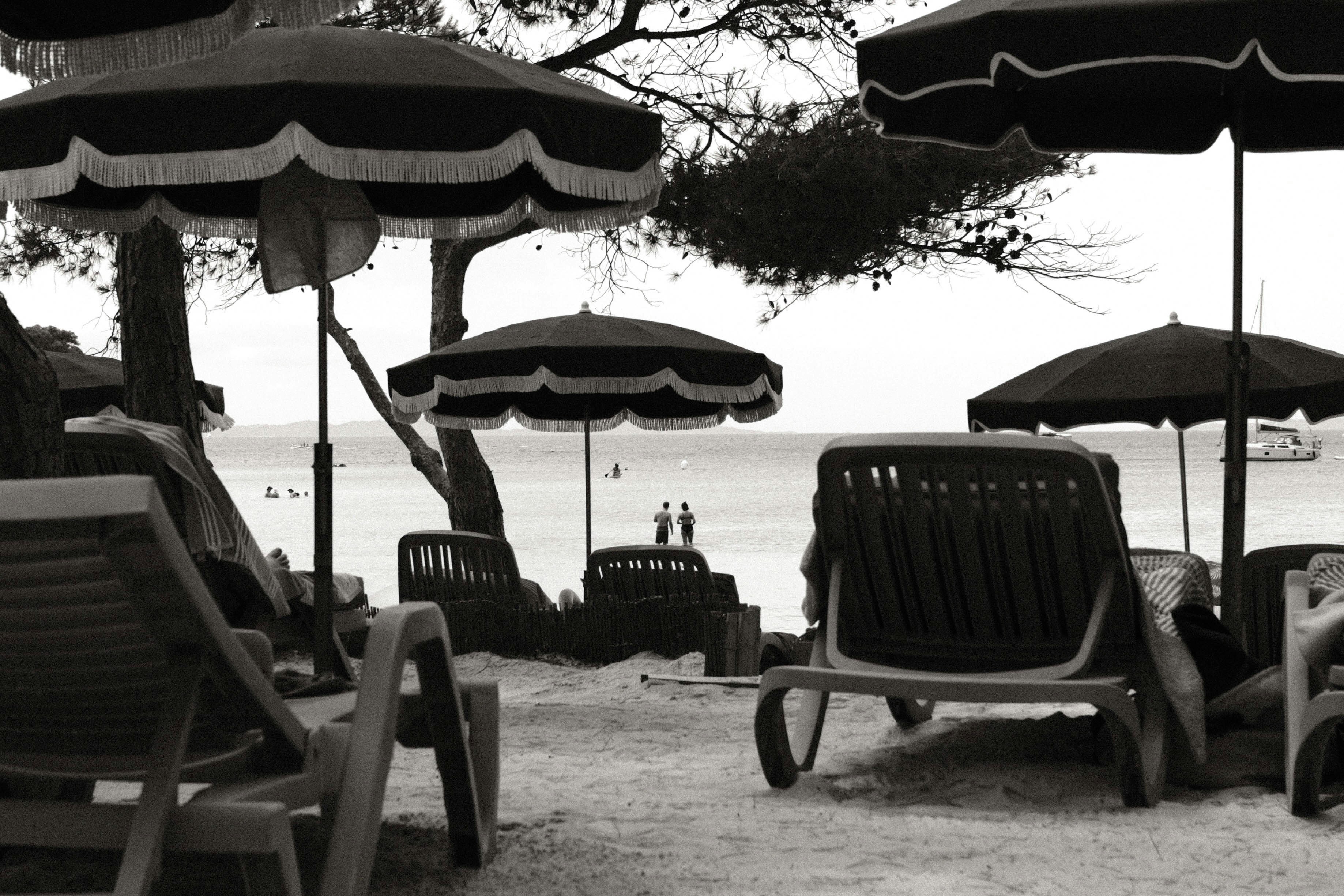 Quiet Beach Chairs Face the Sea as Umbrellas Stand Guard