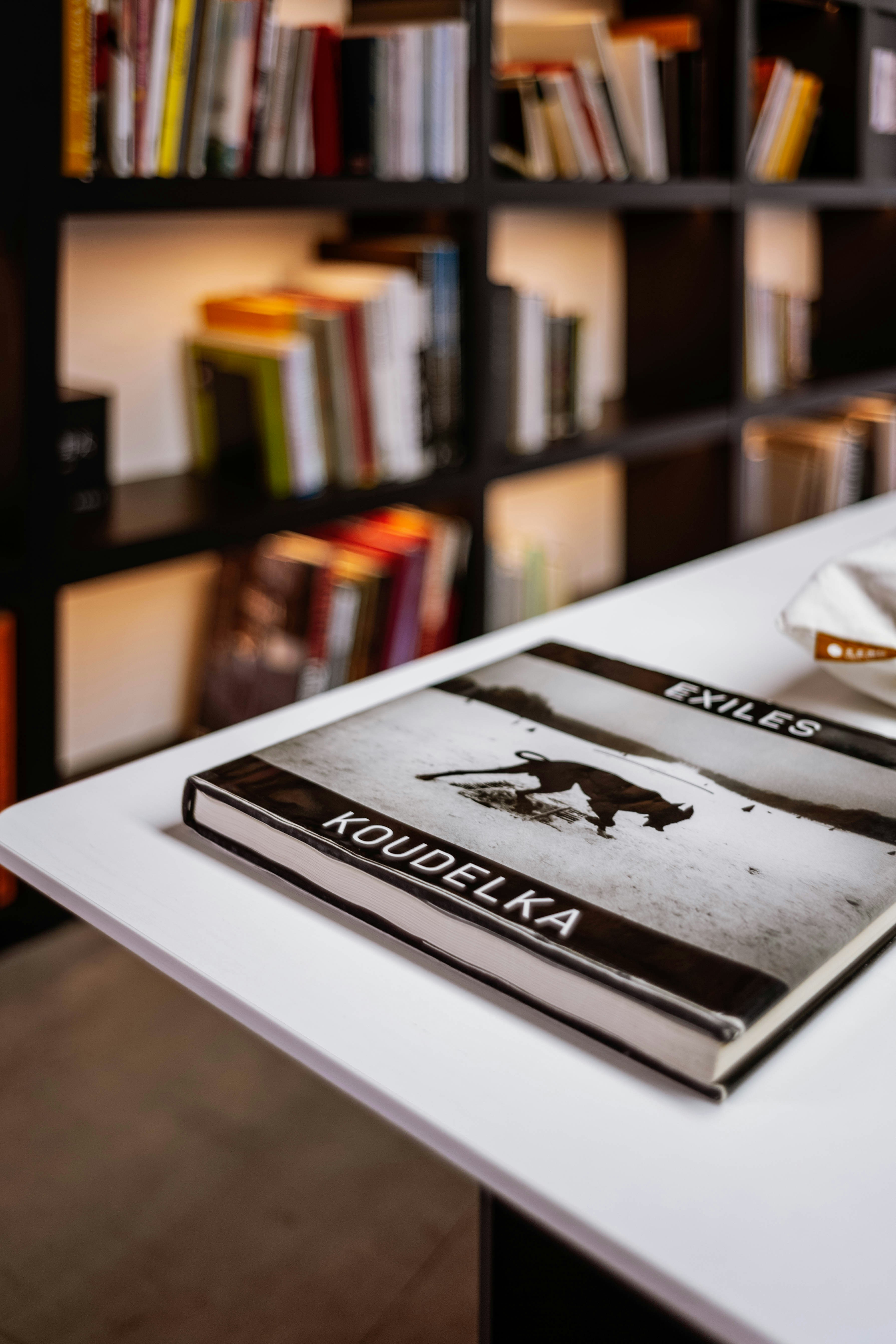 Shelf Talk: A Quiet Moment with a Book on the Table of Thought