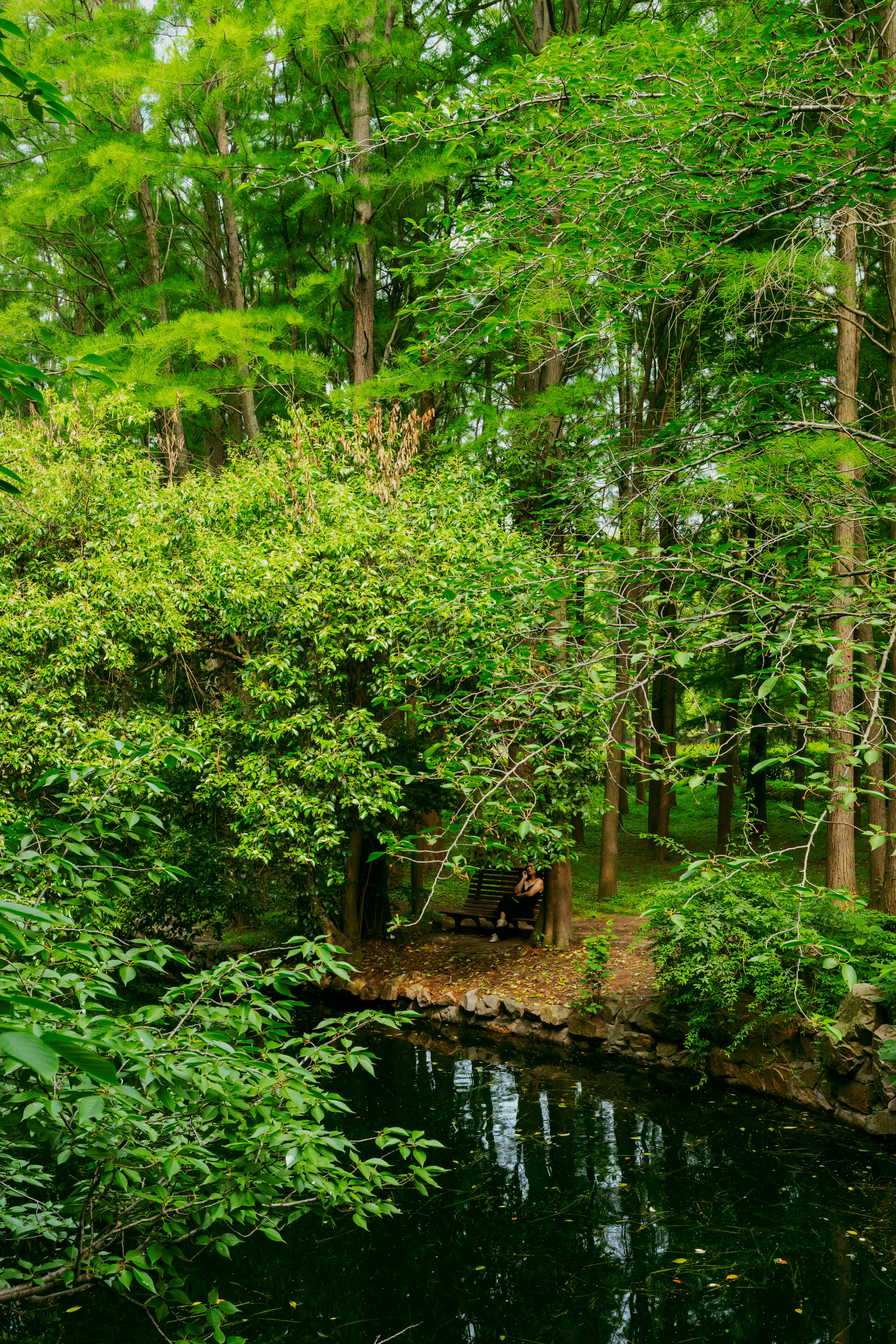 Stillness by the Riverside Bench