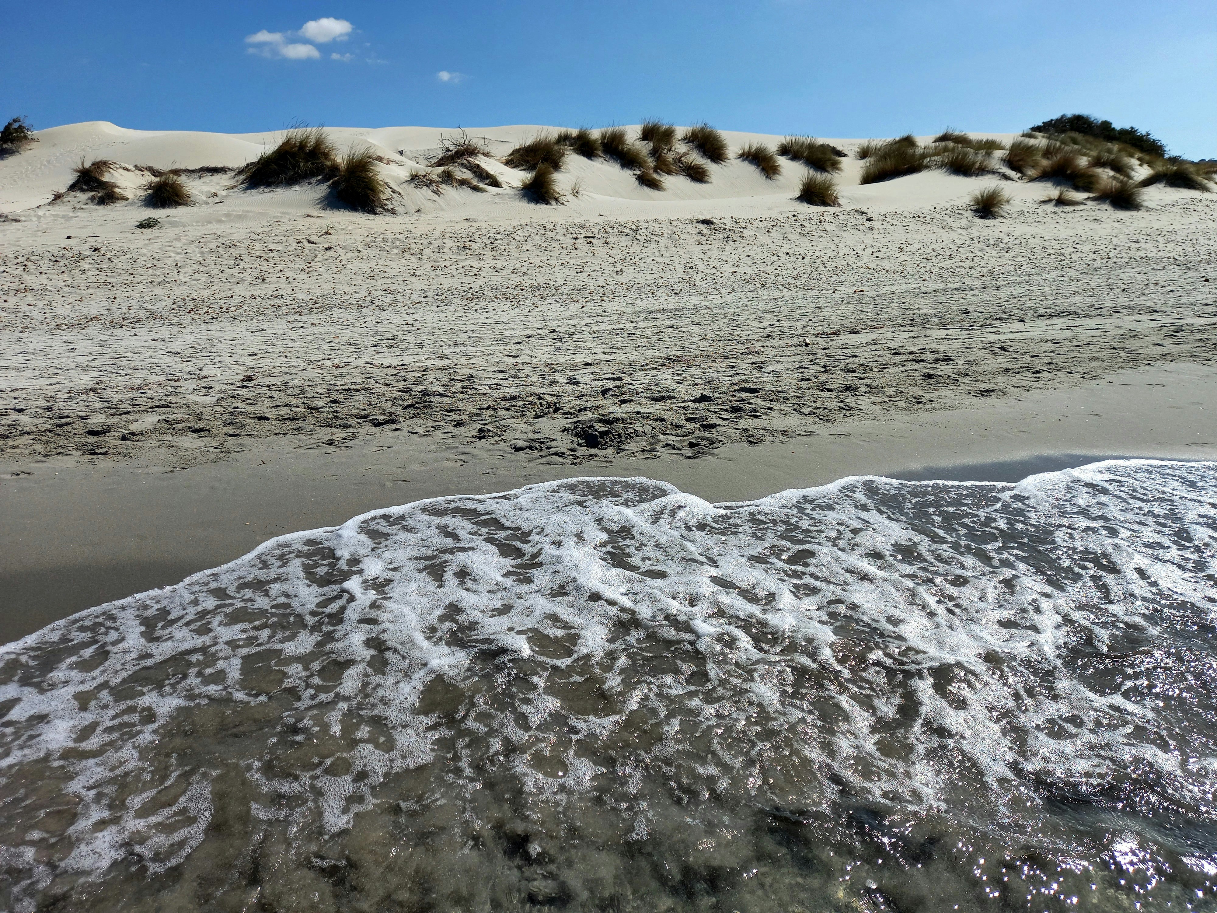 Foamy waves wash onto a sandy shoreline with dune grasses in the distance; a calm coastal scene captured at mid-day. This is a natural landscape photograph.