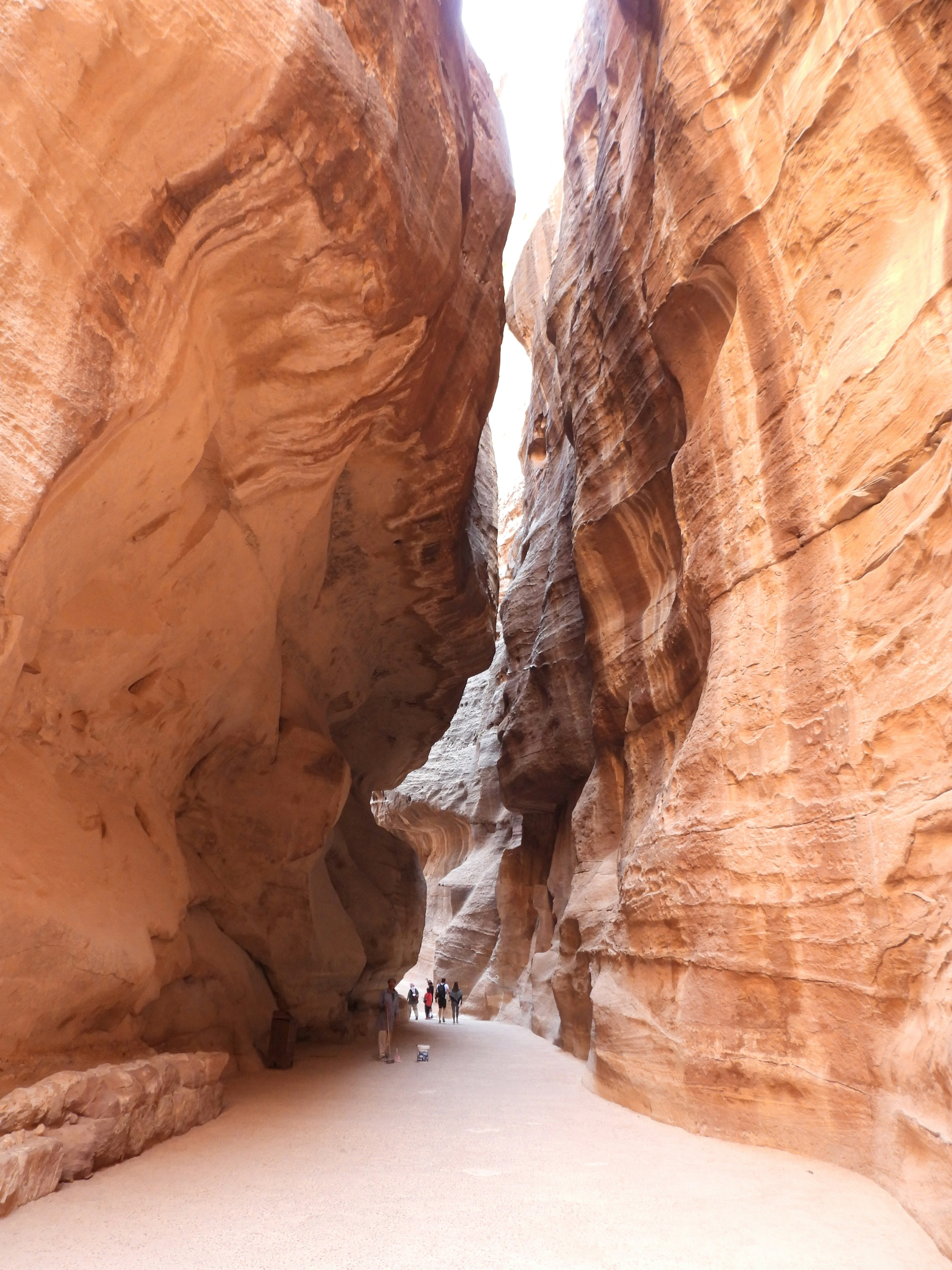 Narrow Canyon Corridor: Light Sifts Through Between Giants