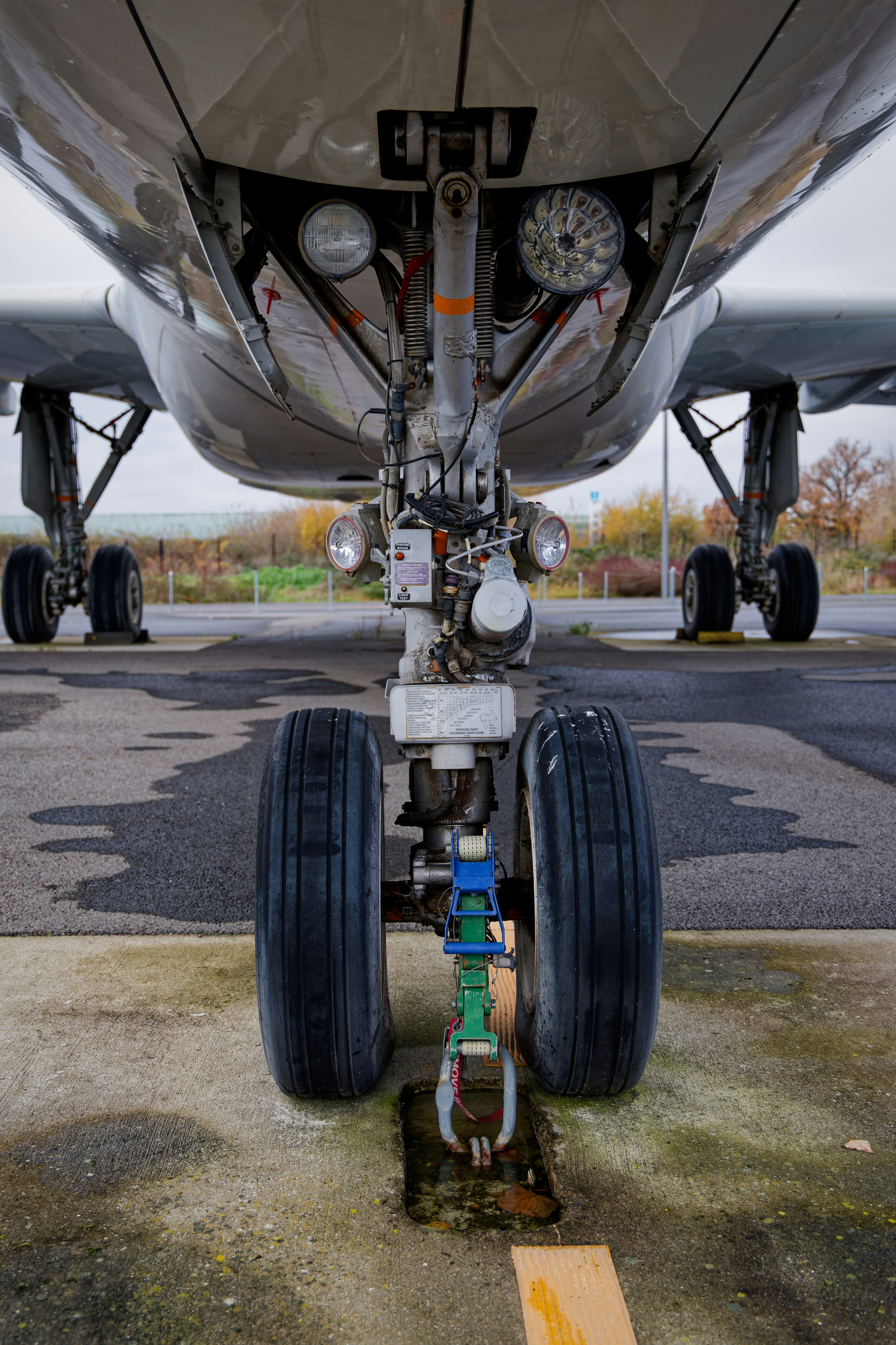 Underbelly in Focus: The Front Landing Gear of a Jet
