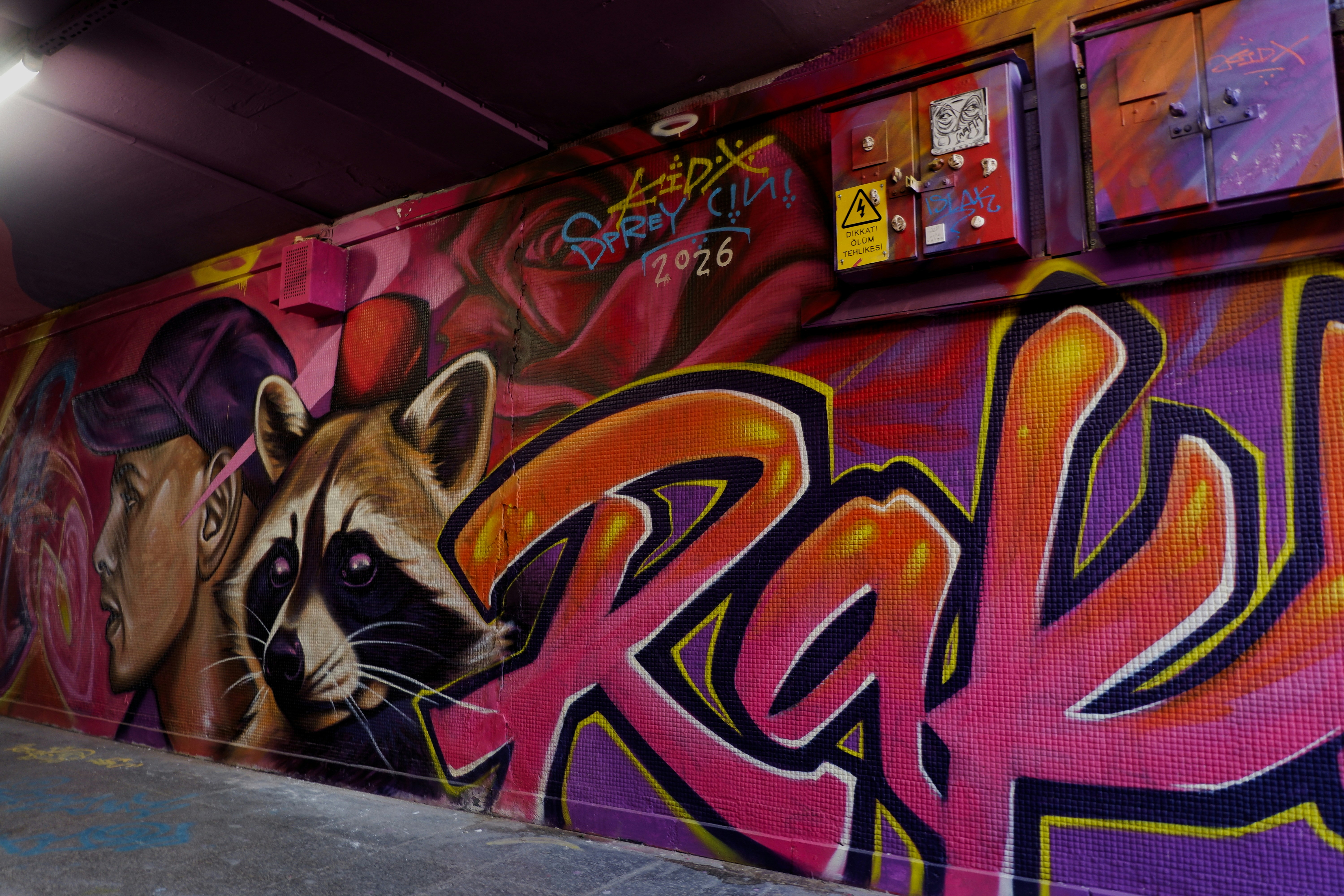 Cosmic Alley: Raccoon Graffiti Guardian under Neon Hue