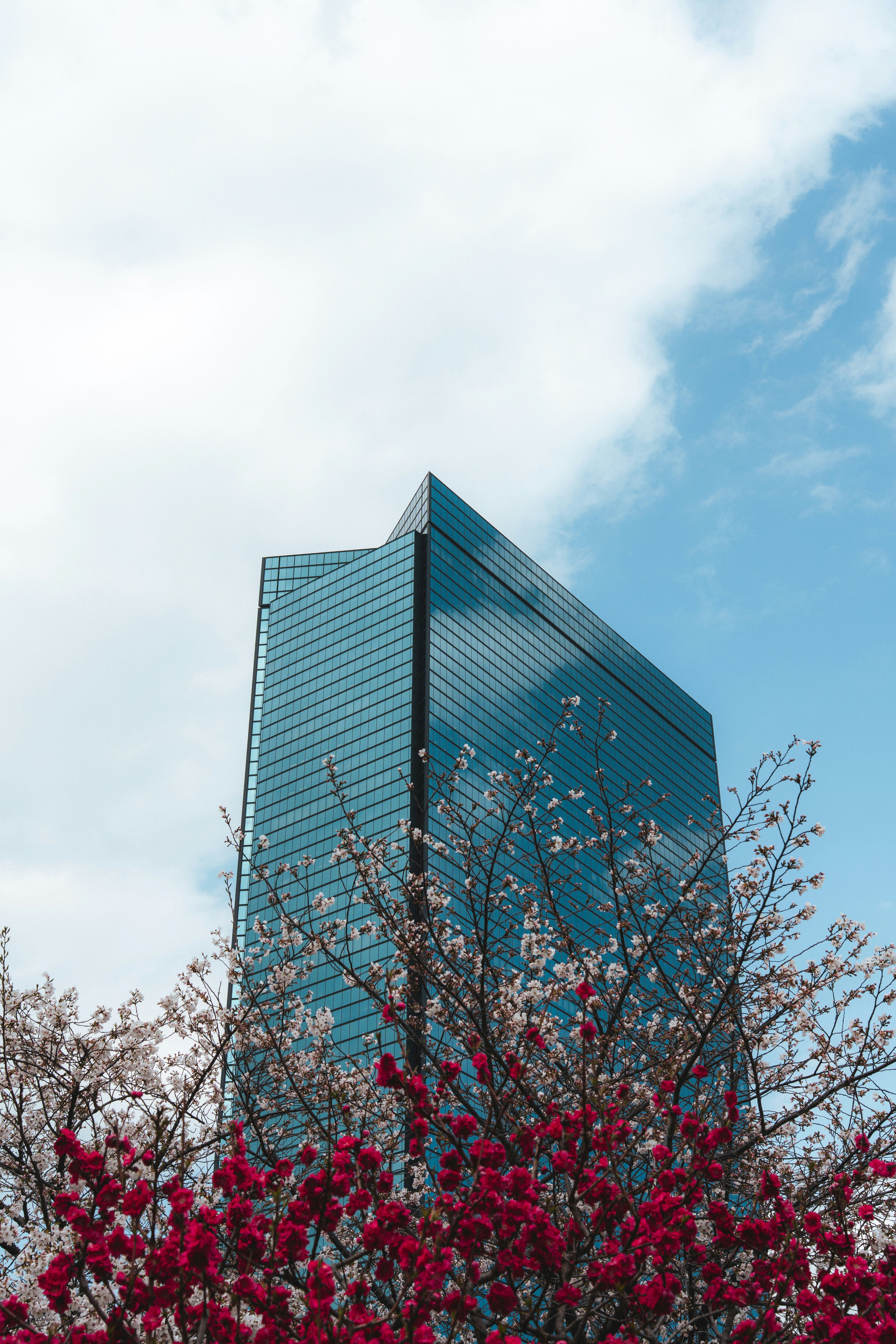 Glass Tower Rising Above Blossoming Foreground