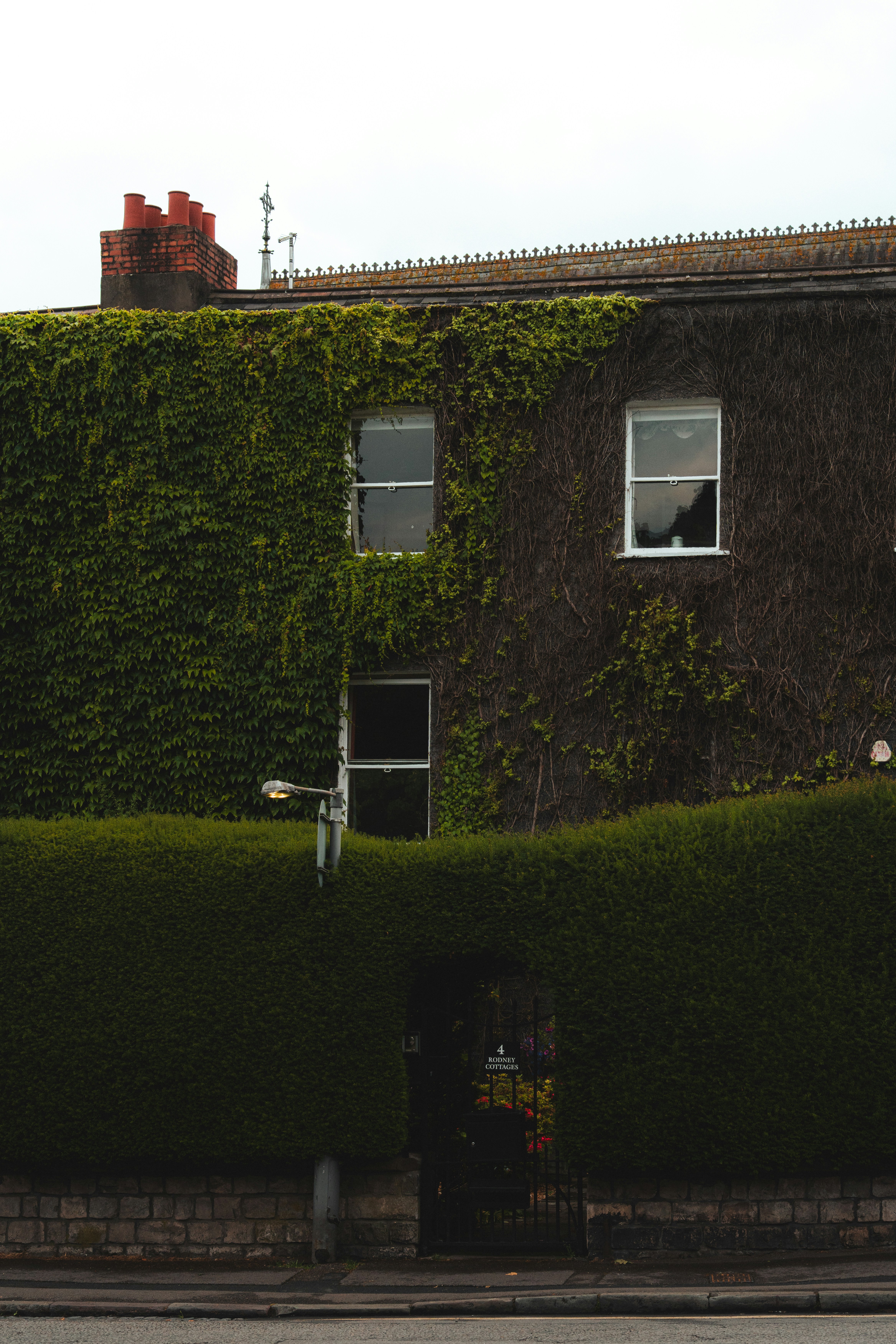  ivy-clad townhouse with a dark hedge gate