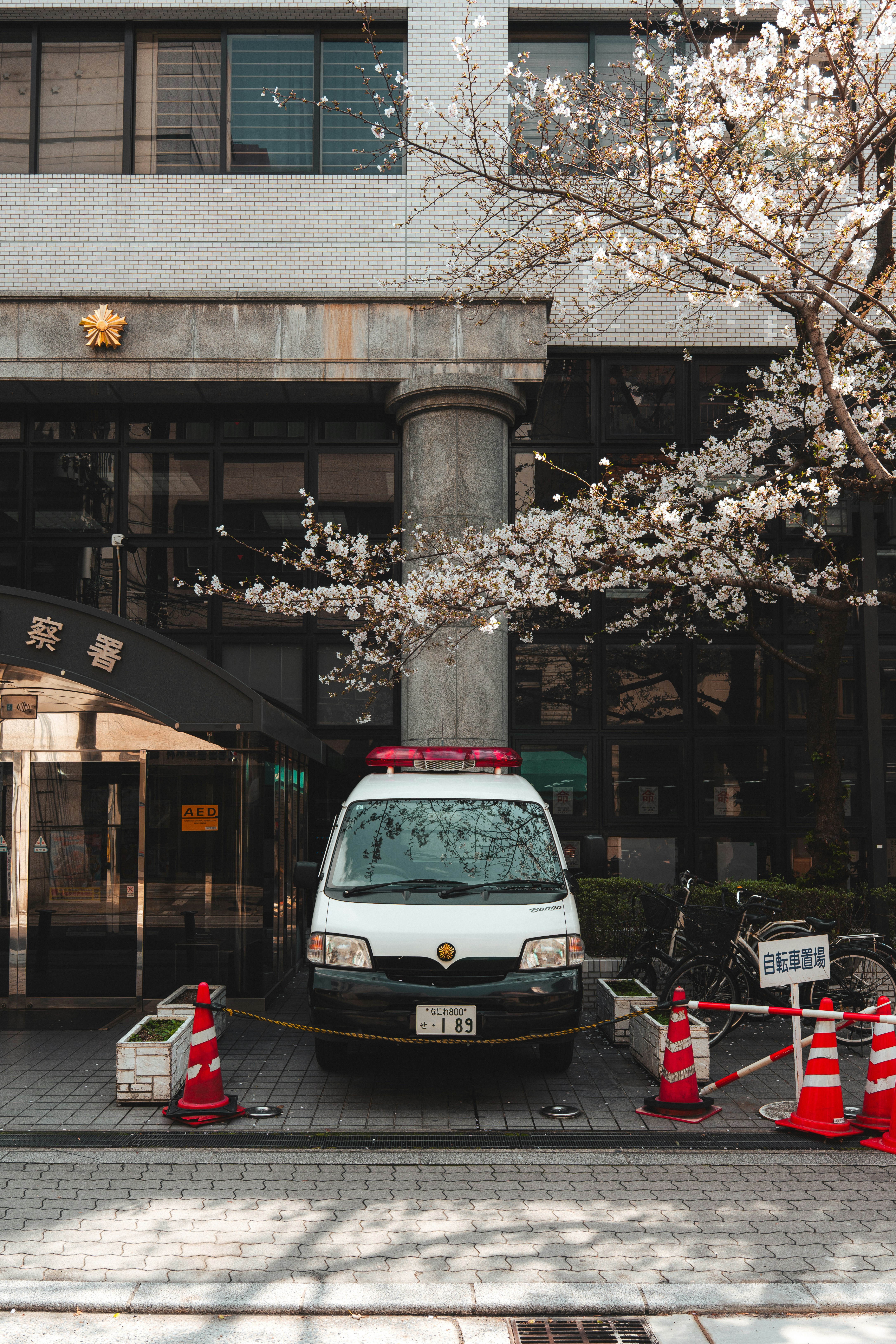 Spring Emergency: A Police Van Framed by Blossoms in a City Facade