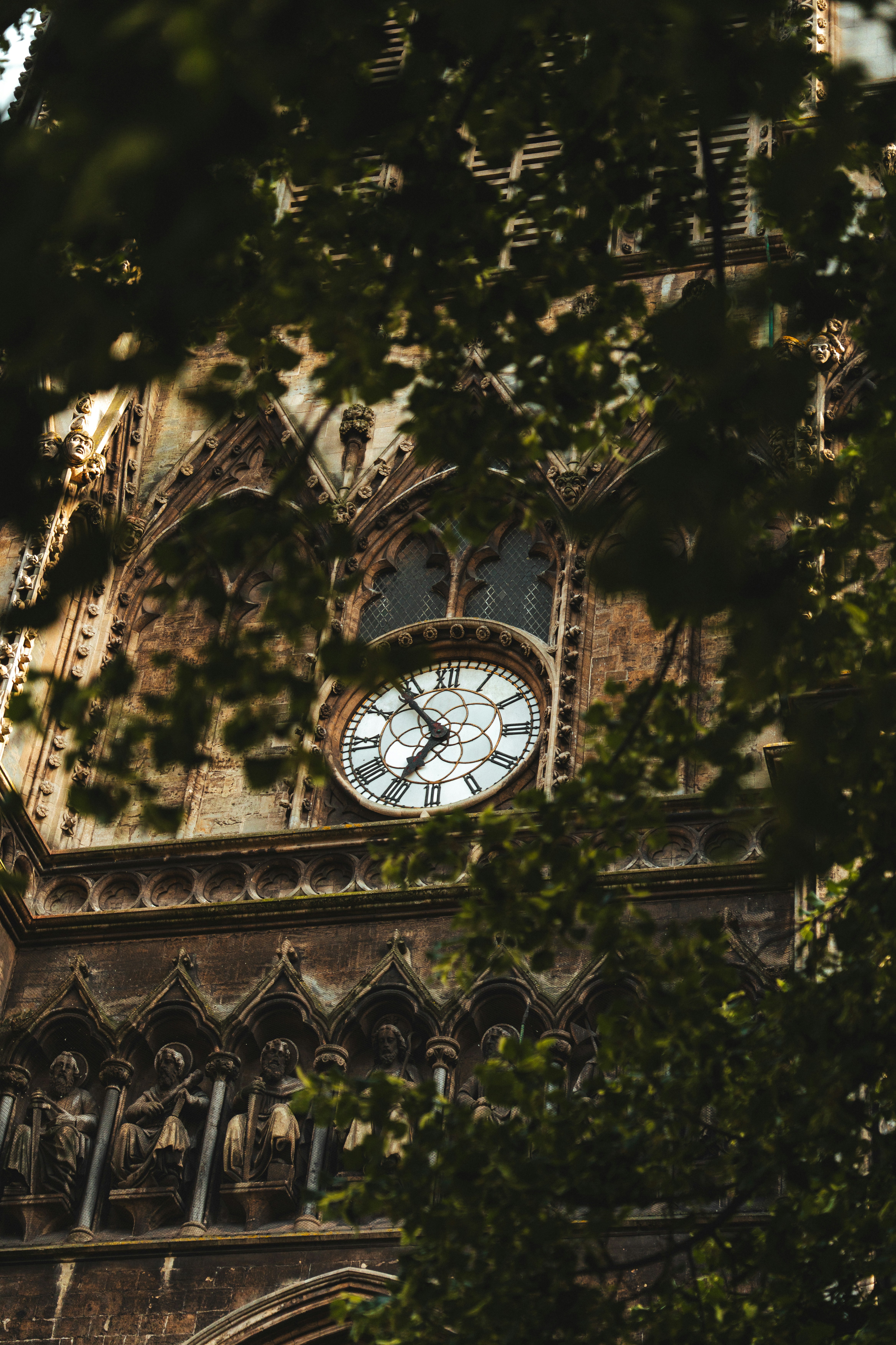 Time Weathers the Stone: A Clock Tower Framed by Leaves