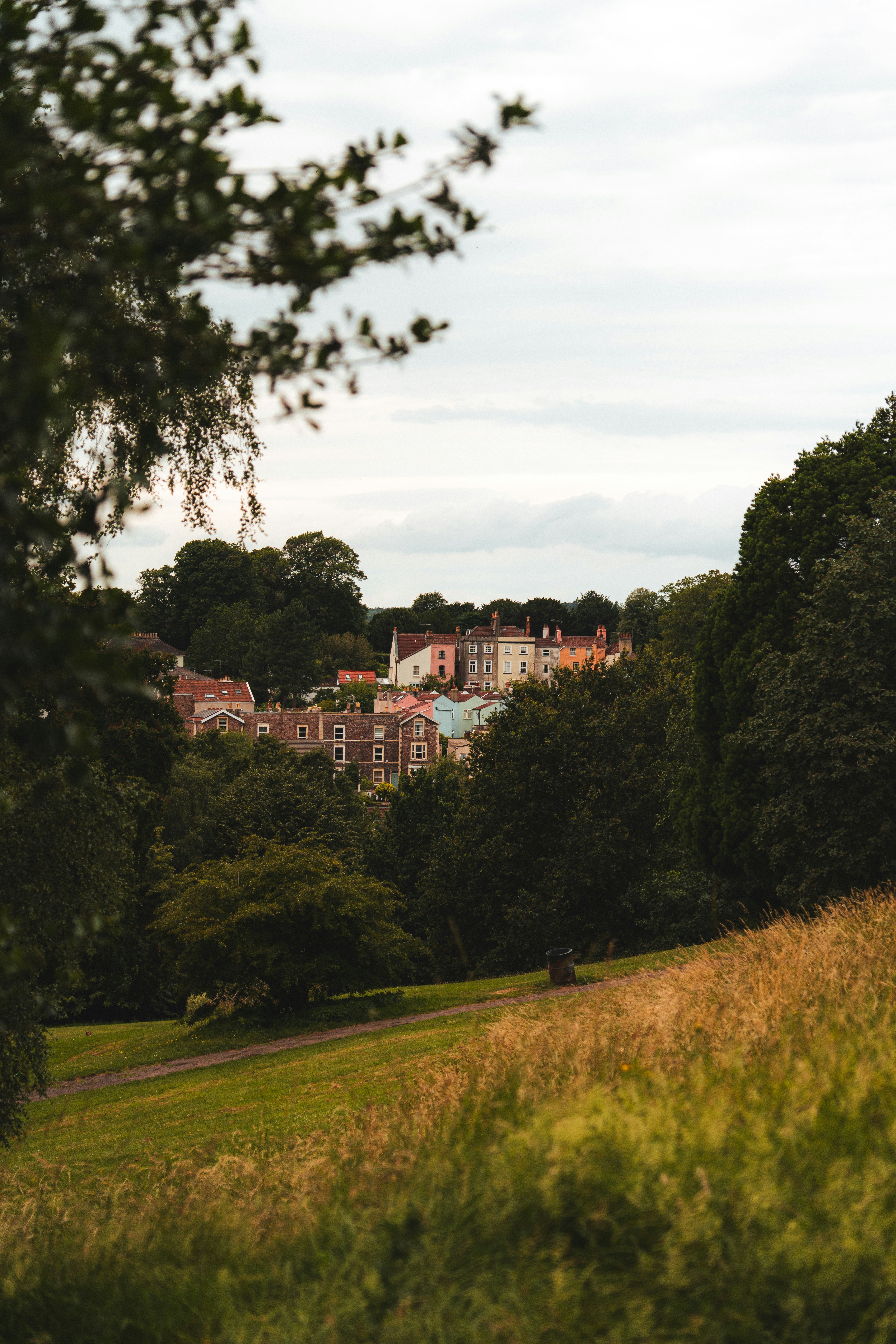 Hidden Village Overlook: A Quiet Crest Between Trees