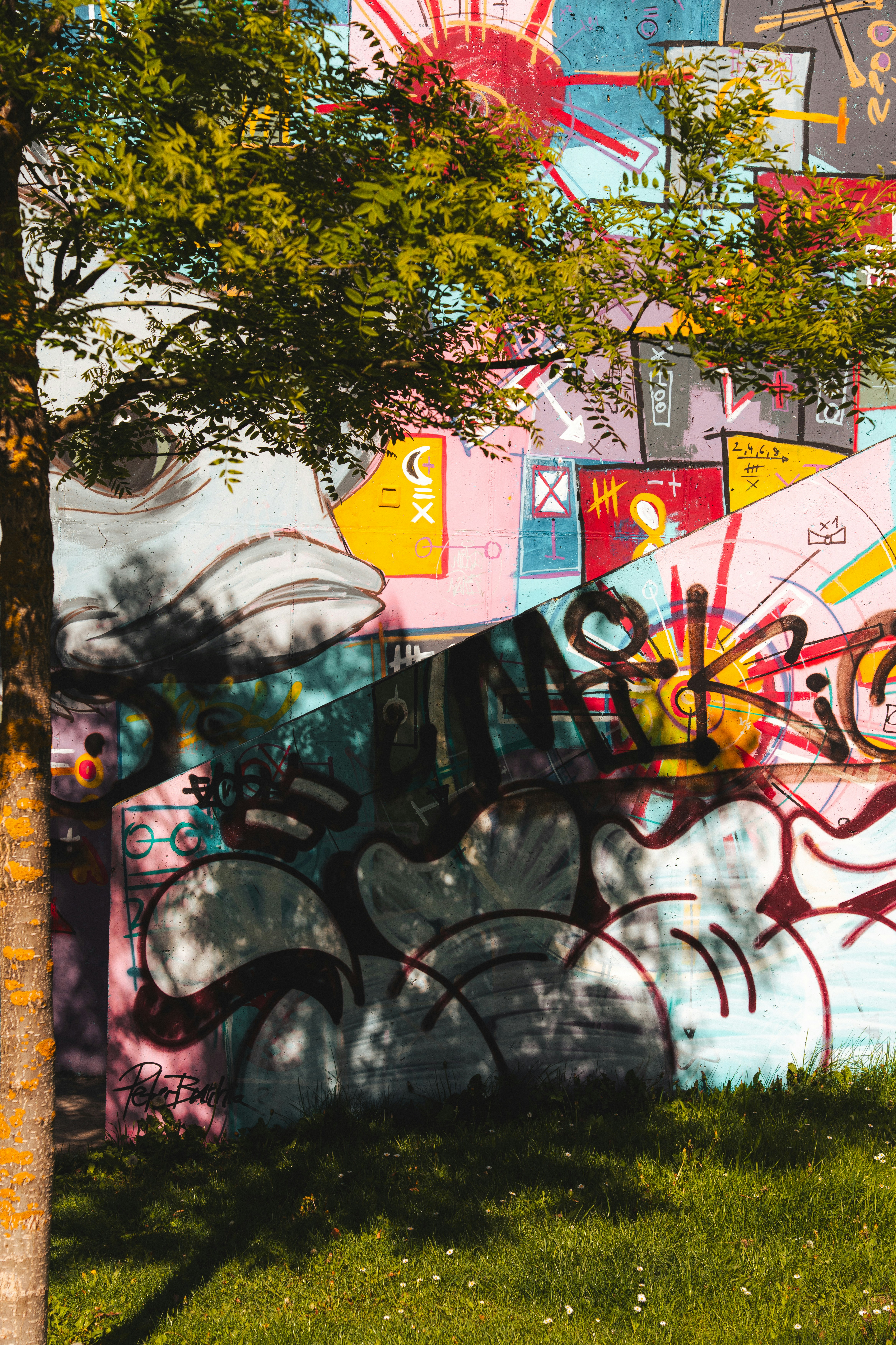 Concrete Canvas: Graffiti Murals Framed by Orchard Shadows
