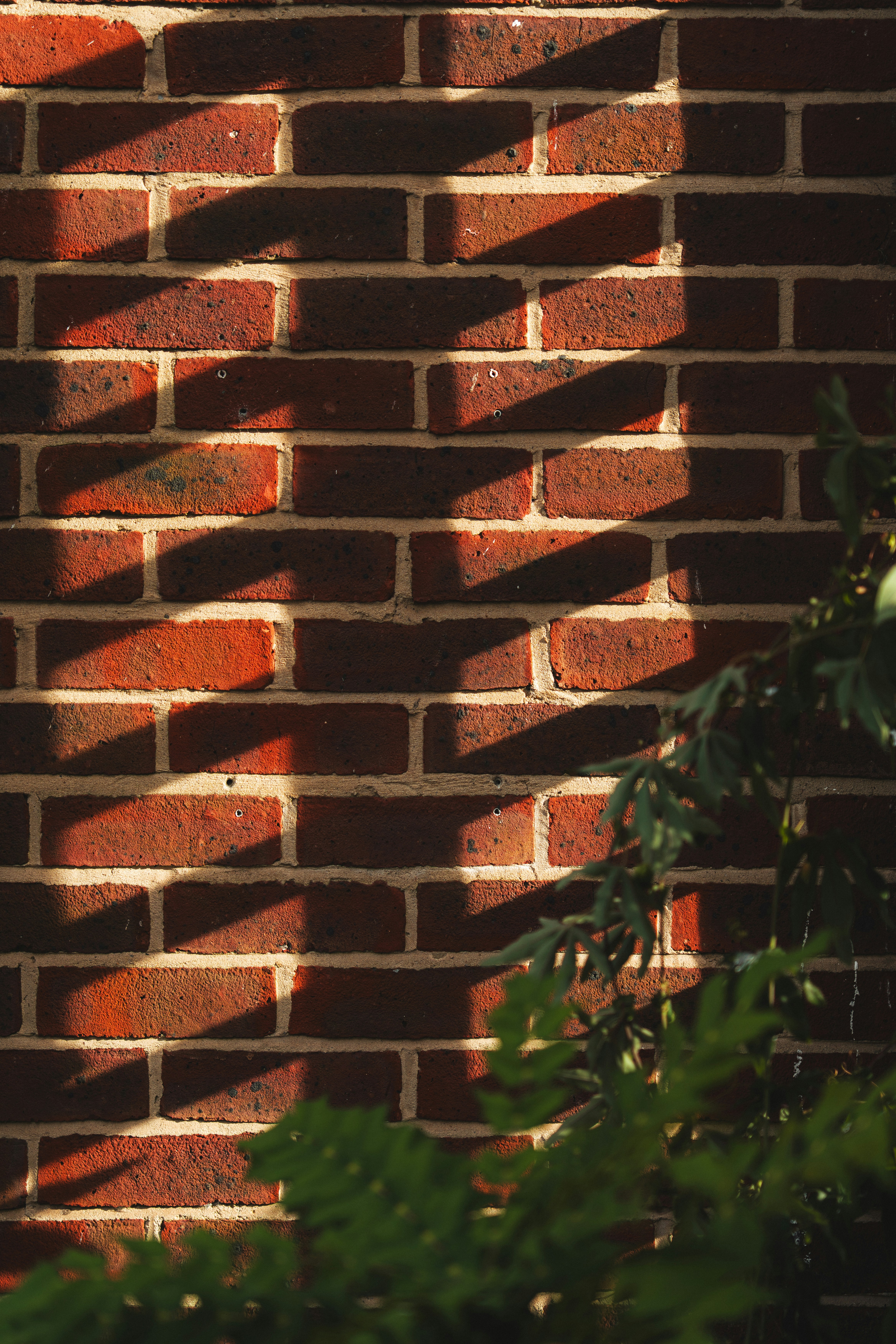 Sunlit brickwork mapped by leaning shadows
