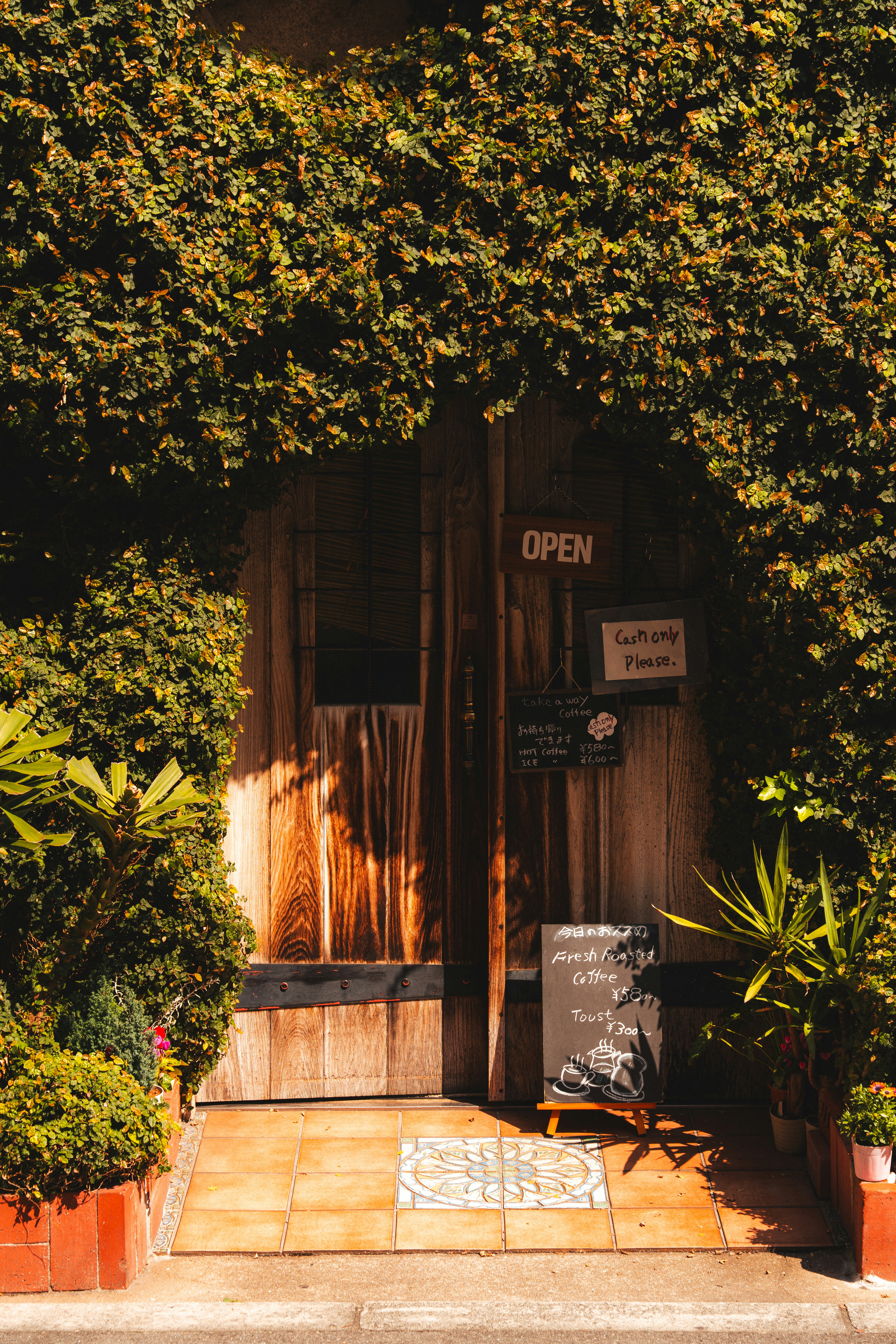 Doorway in a Sunlit Garden Café