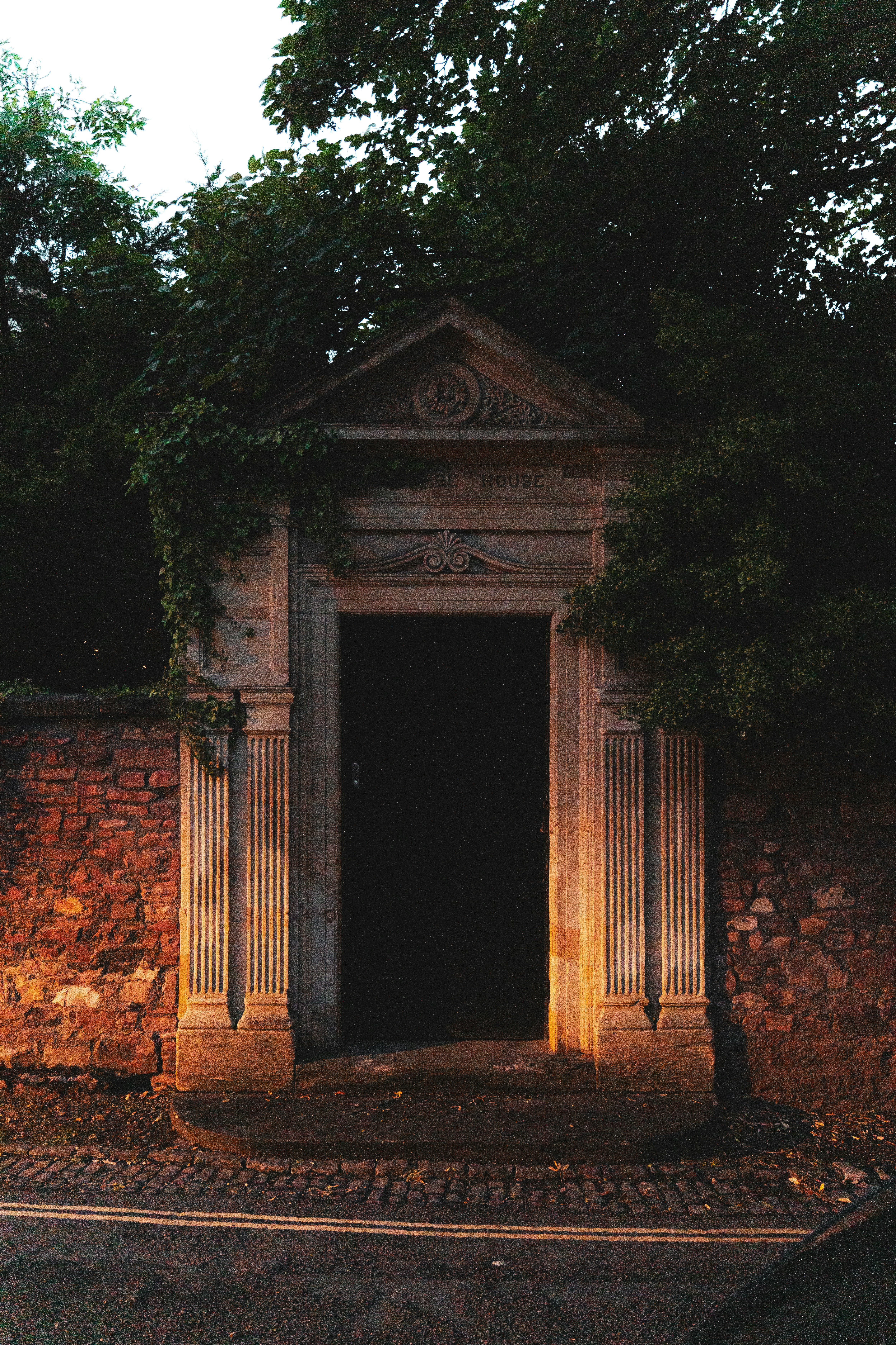 Overgrown Portal: A Quiet Gate Beneath the Canopy