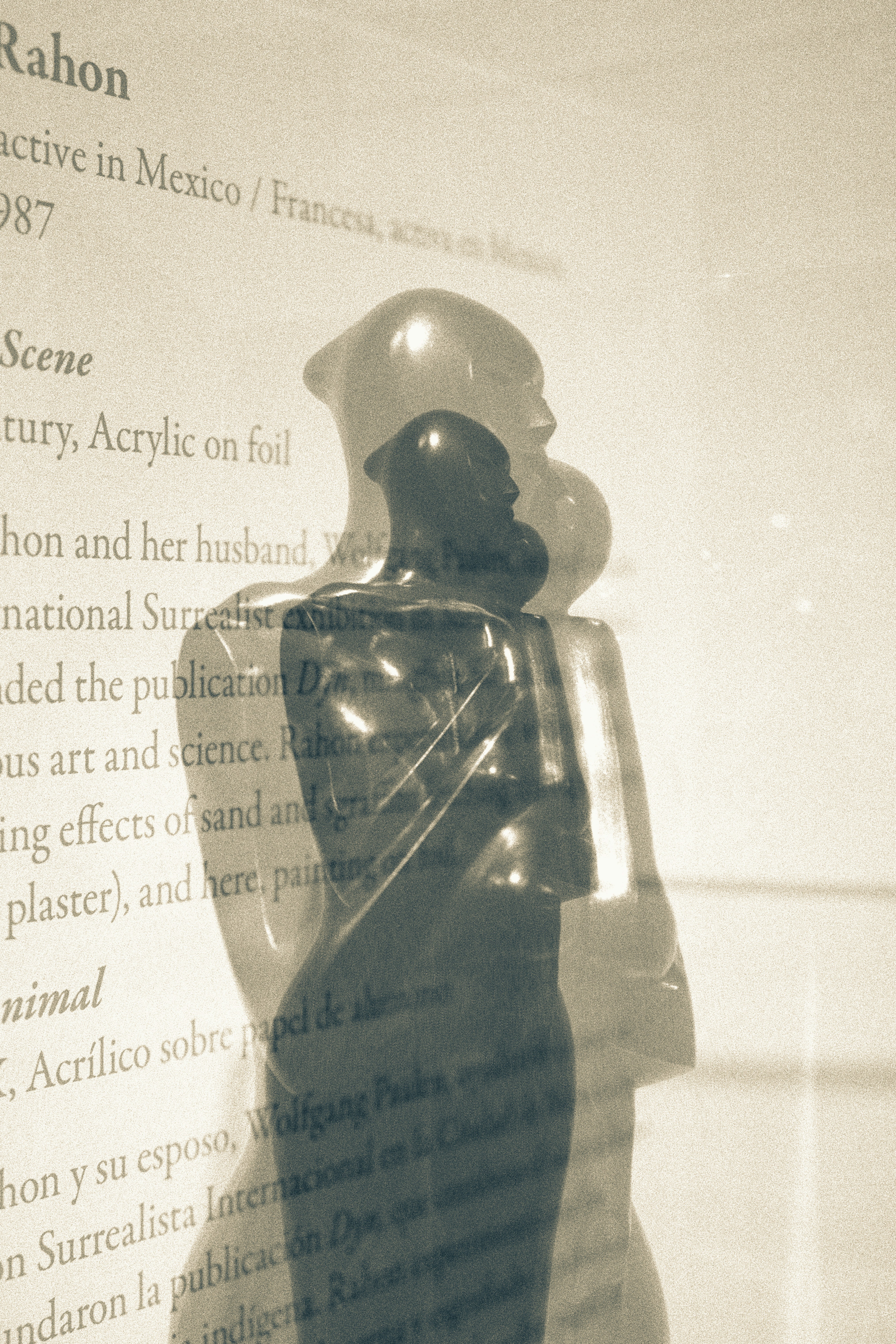 Transparent Echoes: A Dual Portrait Through Glass and Time