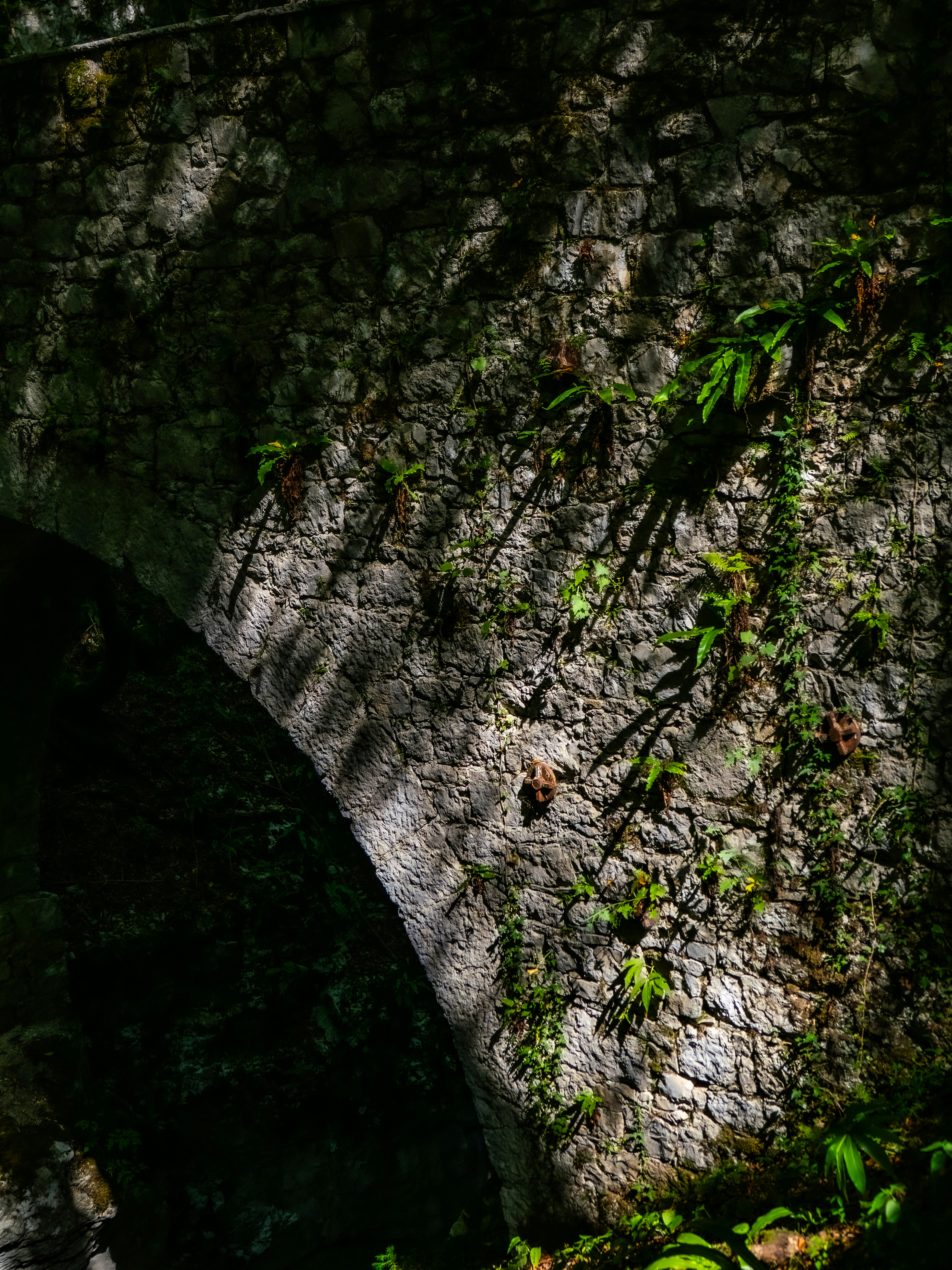 Overgrown Arch: Moss-Chequered Wall Framed by Green Vines