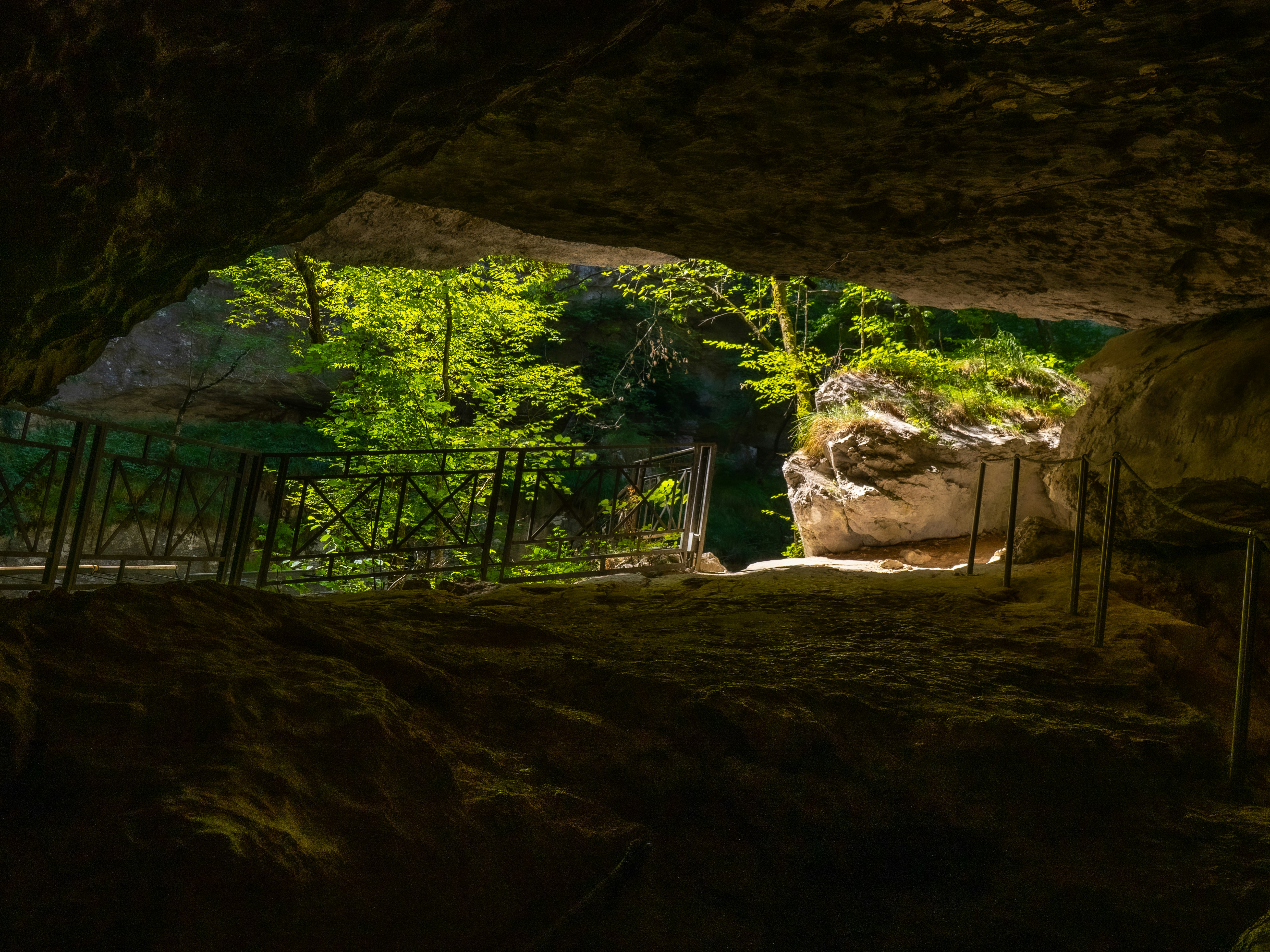Emerald Gate: Sunlit Forest Beyond a Cave Window