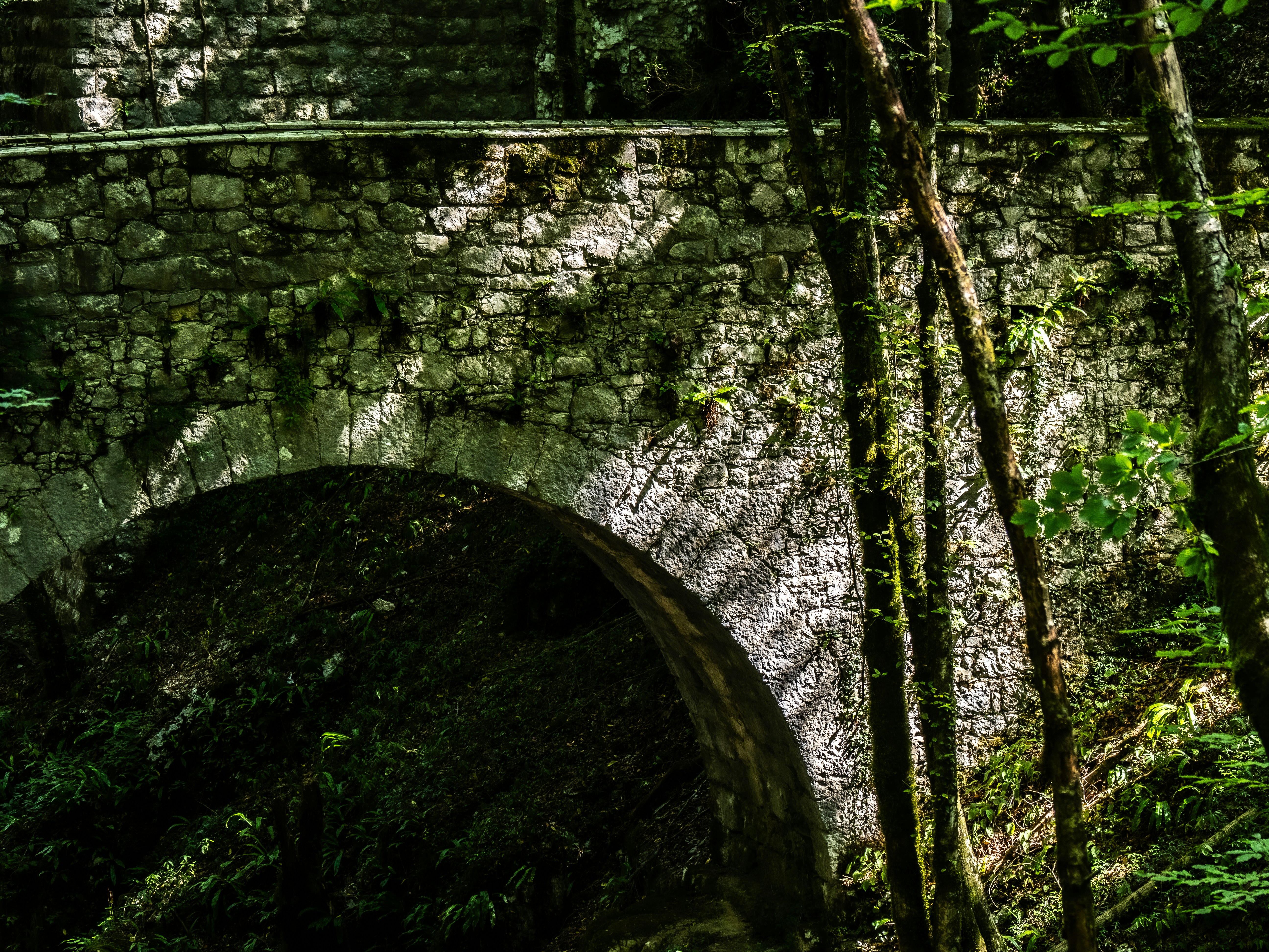 Ancient Archway Hidden by Forest Light
