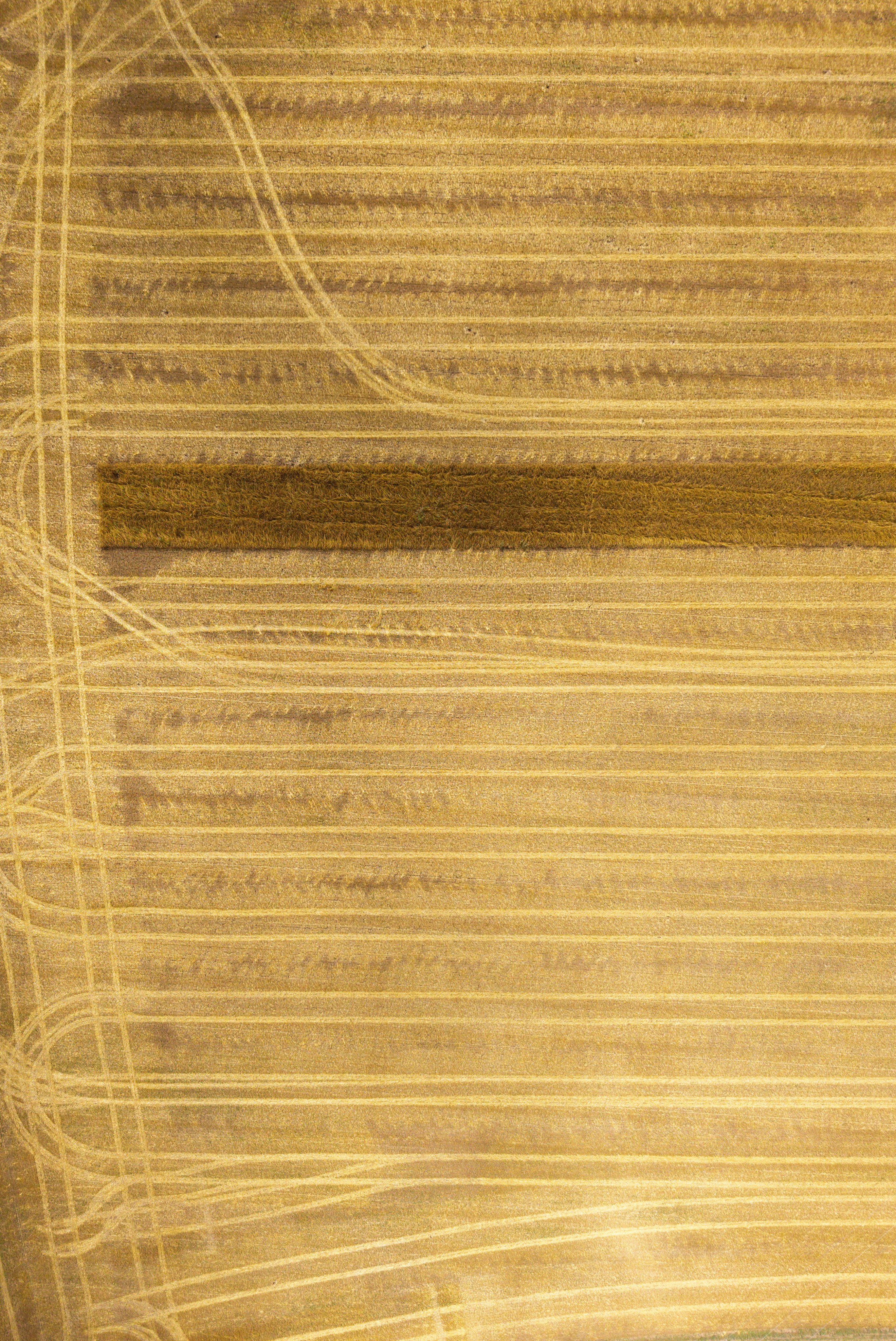 Striations and a lone plank: abstract textures on weathered timber