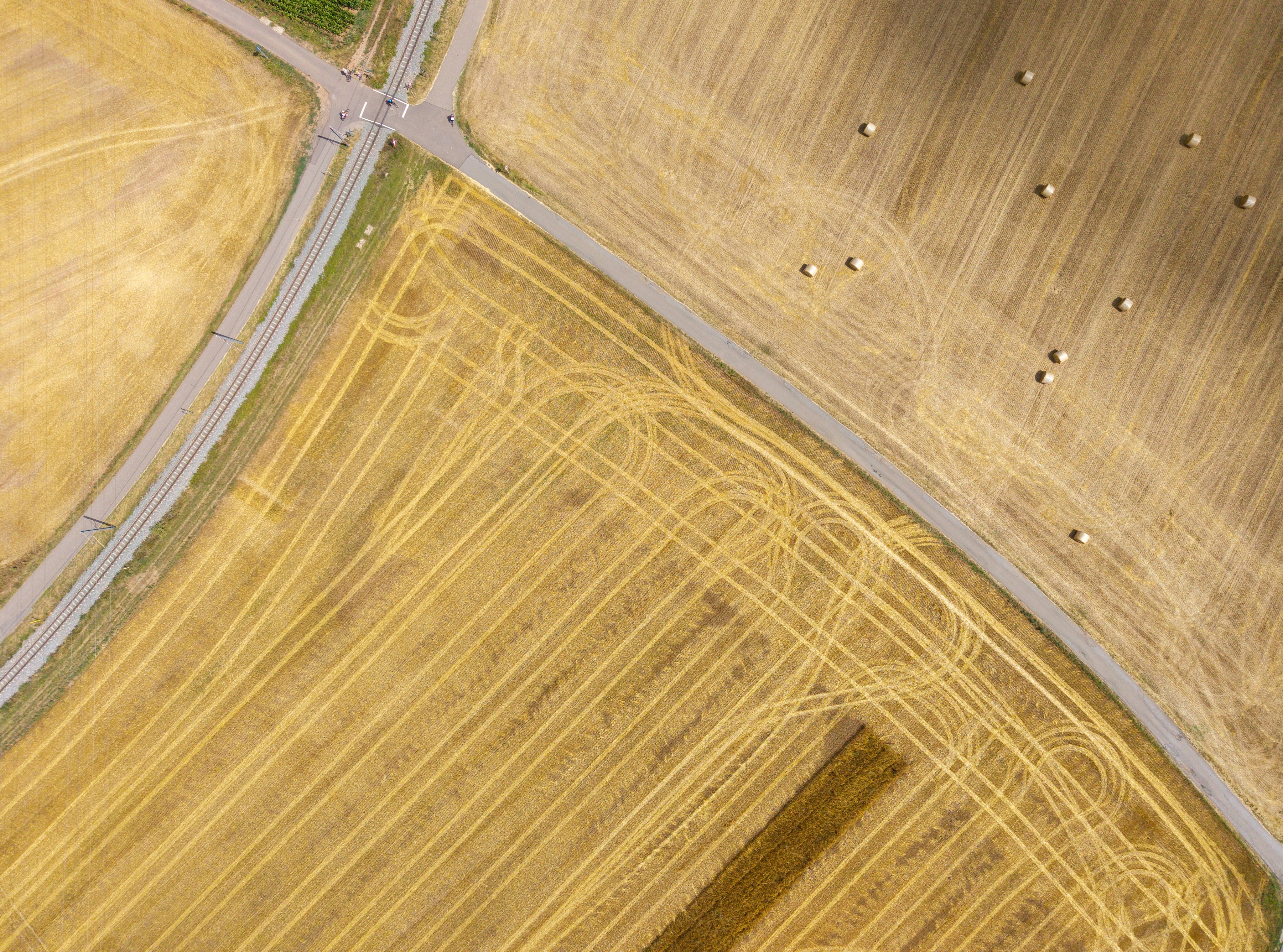 Aerial Needlework: Fields and Road Converge at a Gentle Bend