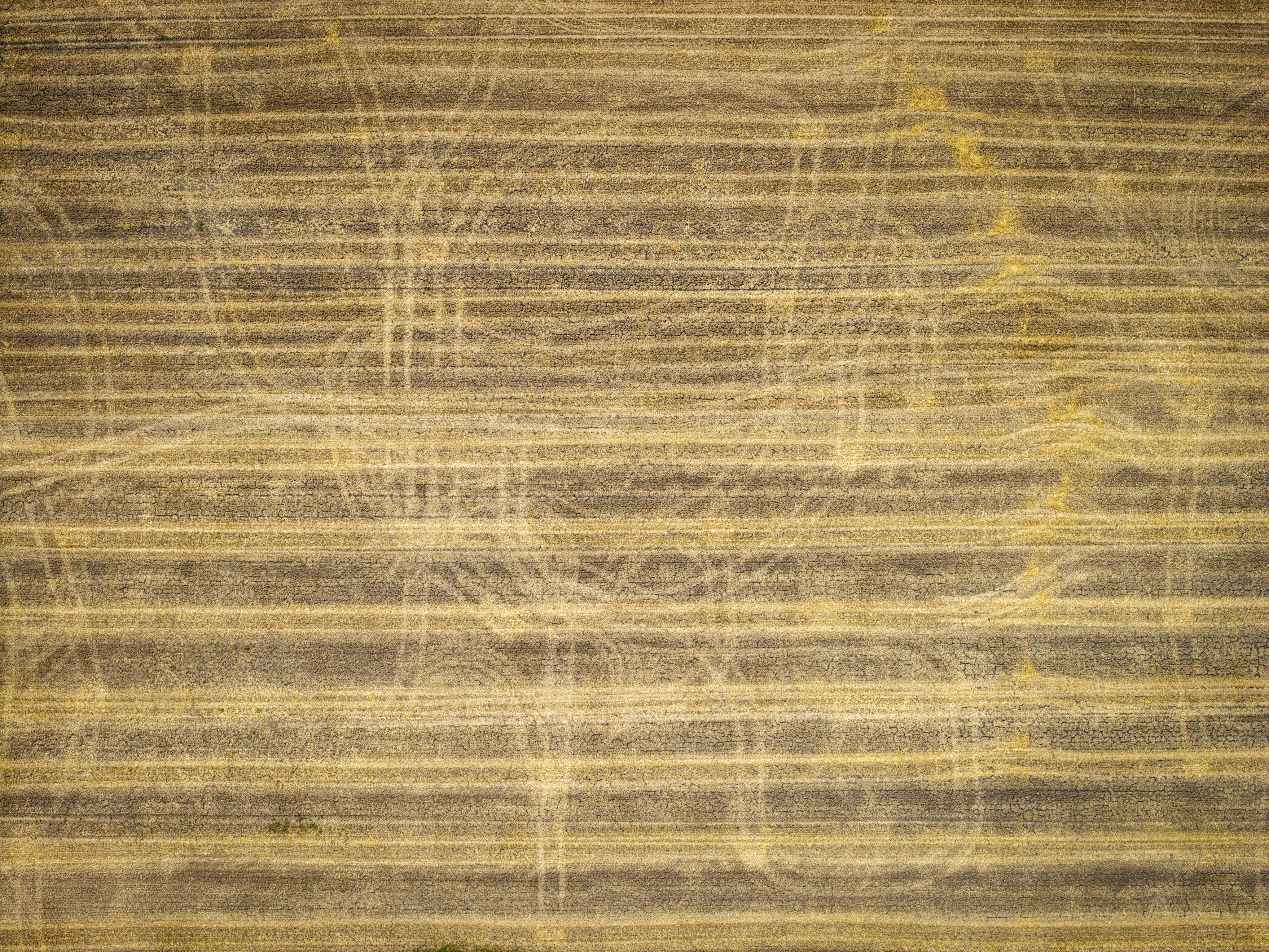 Subtle Grain and Chalk Lines in Aged Wood Surface