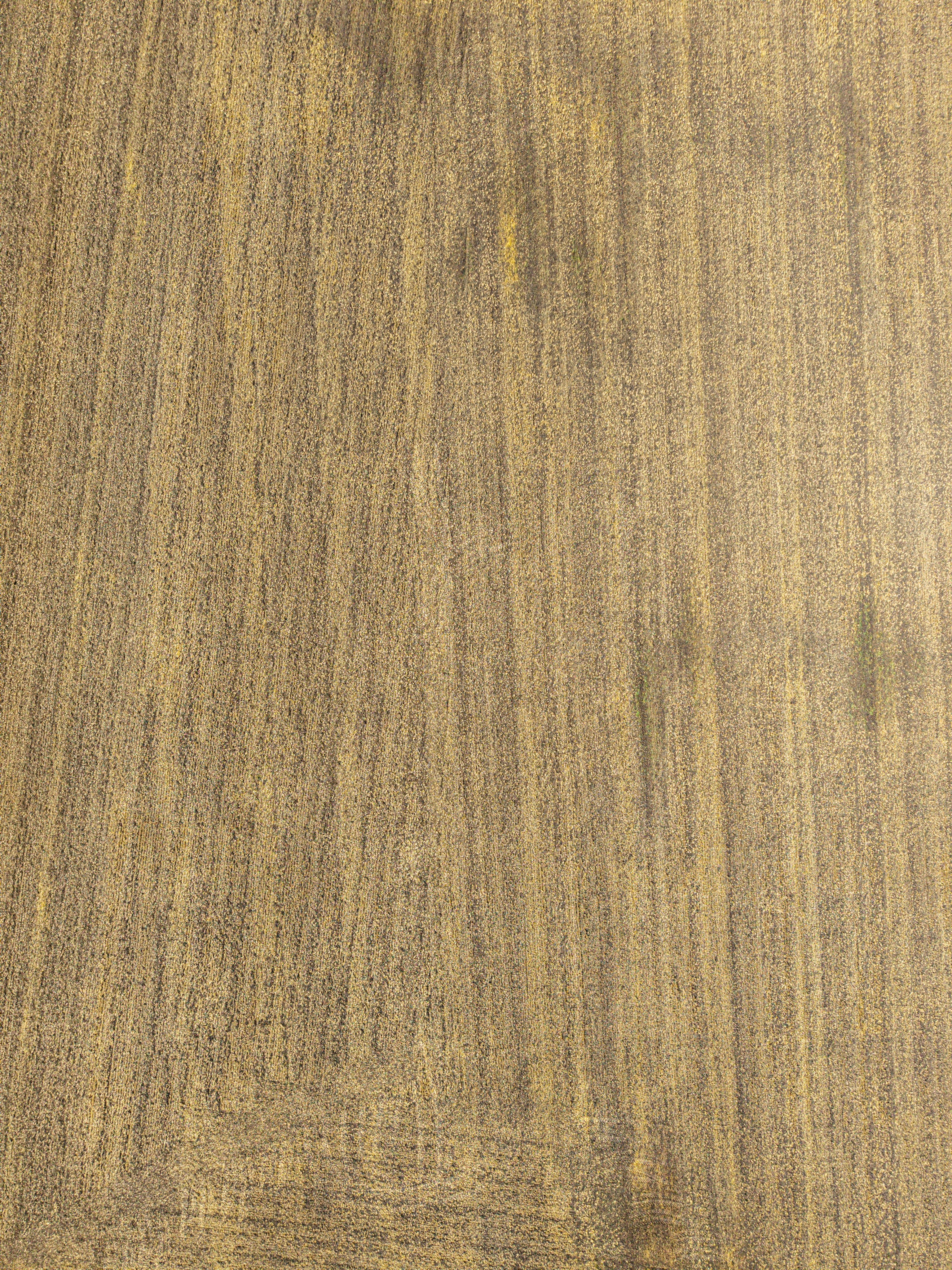 Rugged Striations: A Field of Weathered Grain and Grass Strokes