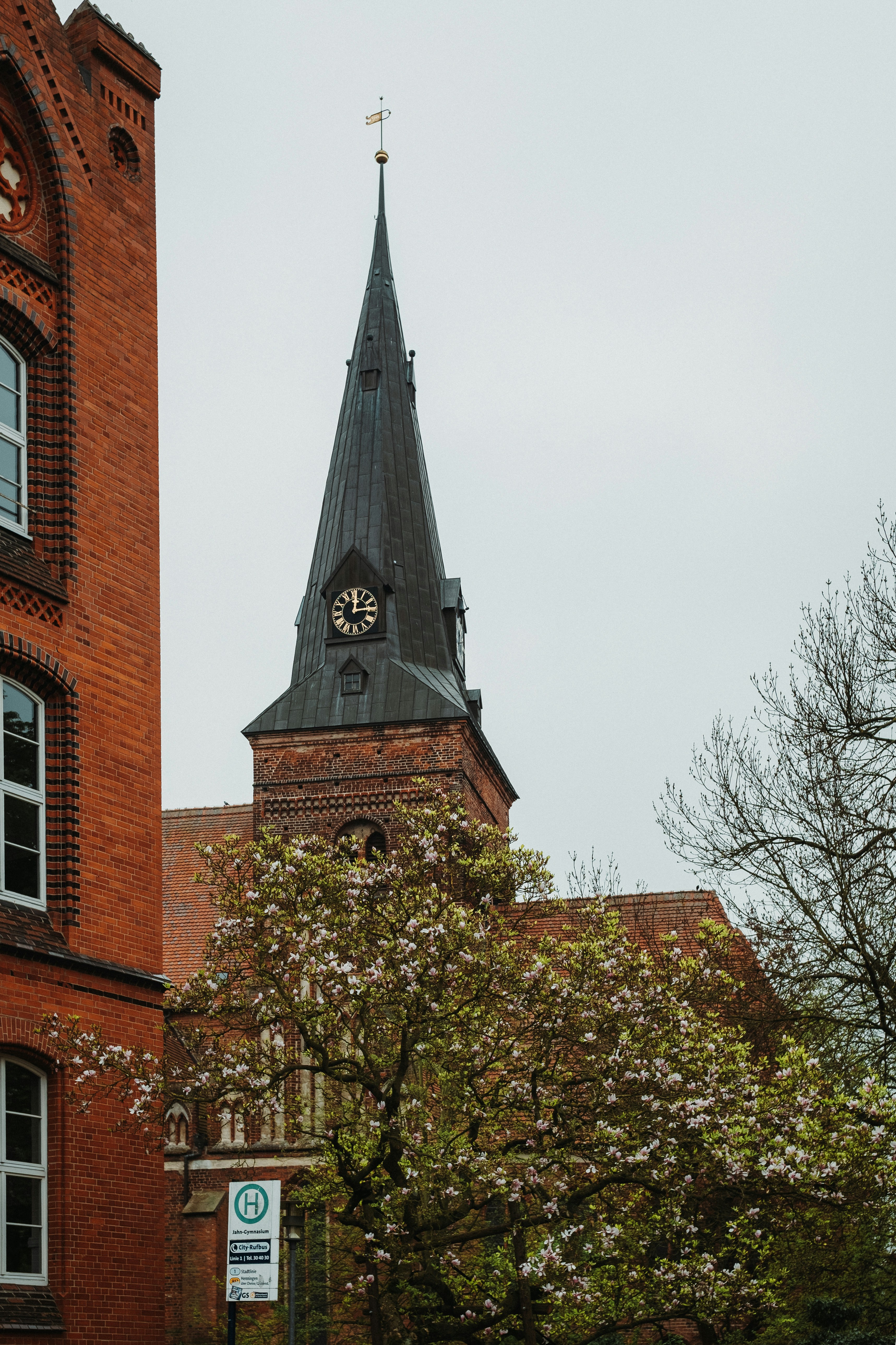 Clocktower Beneath Blossoms: A Cornerstone of Brick and Spring