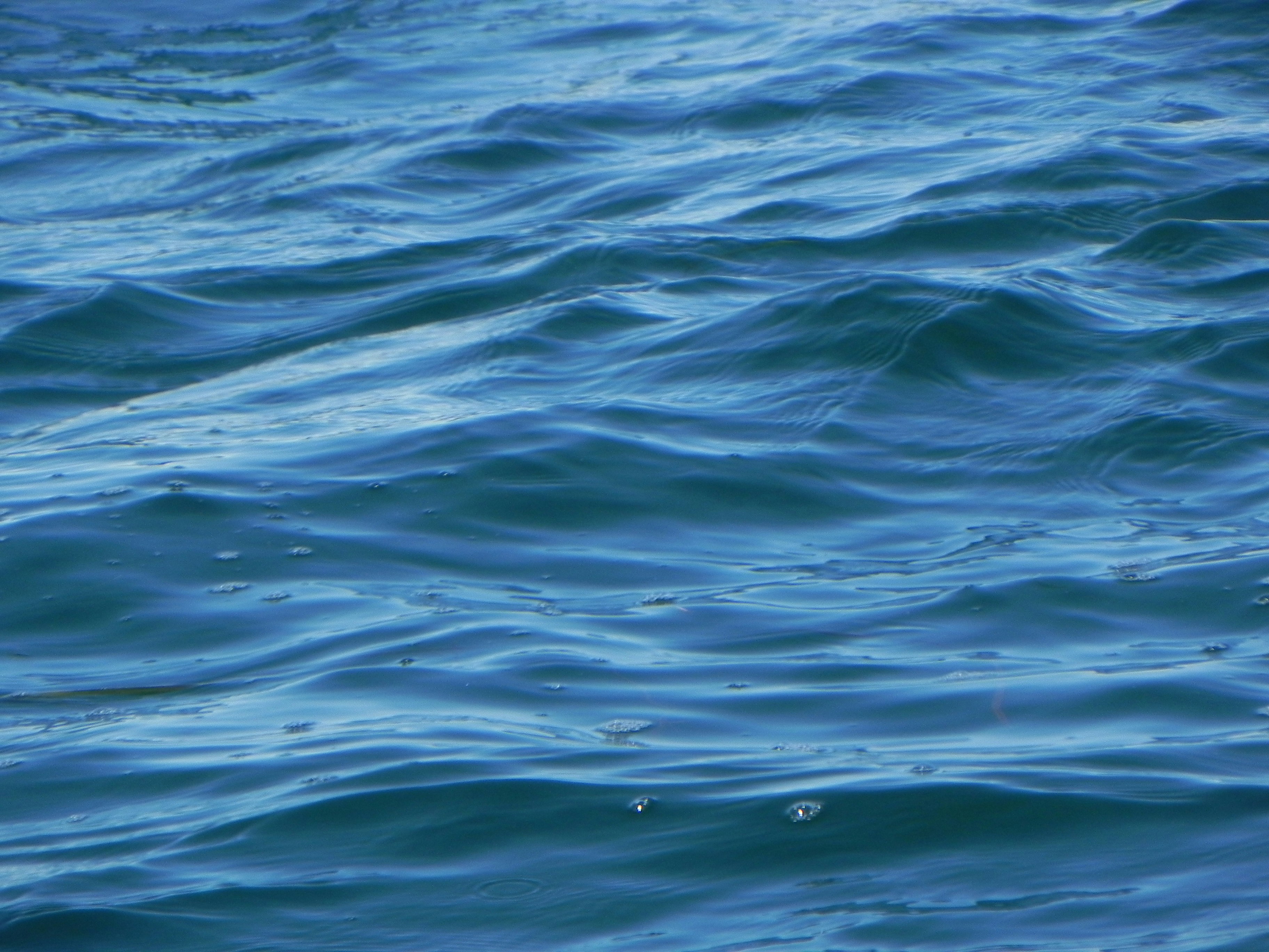 Smooth blue ocean surface with softly undulating waves and highlights; a calm seascape focusing on water texture and color.