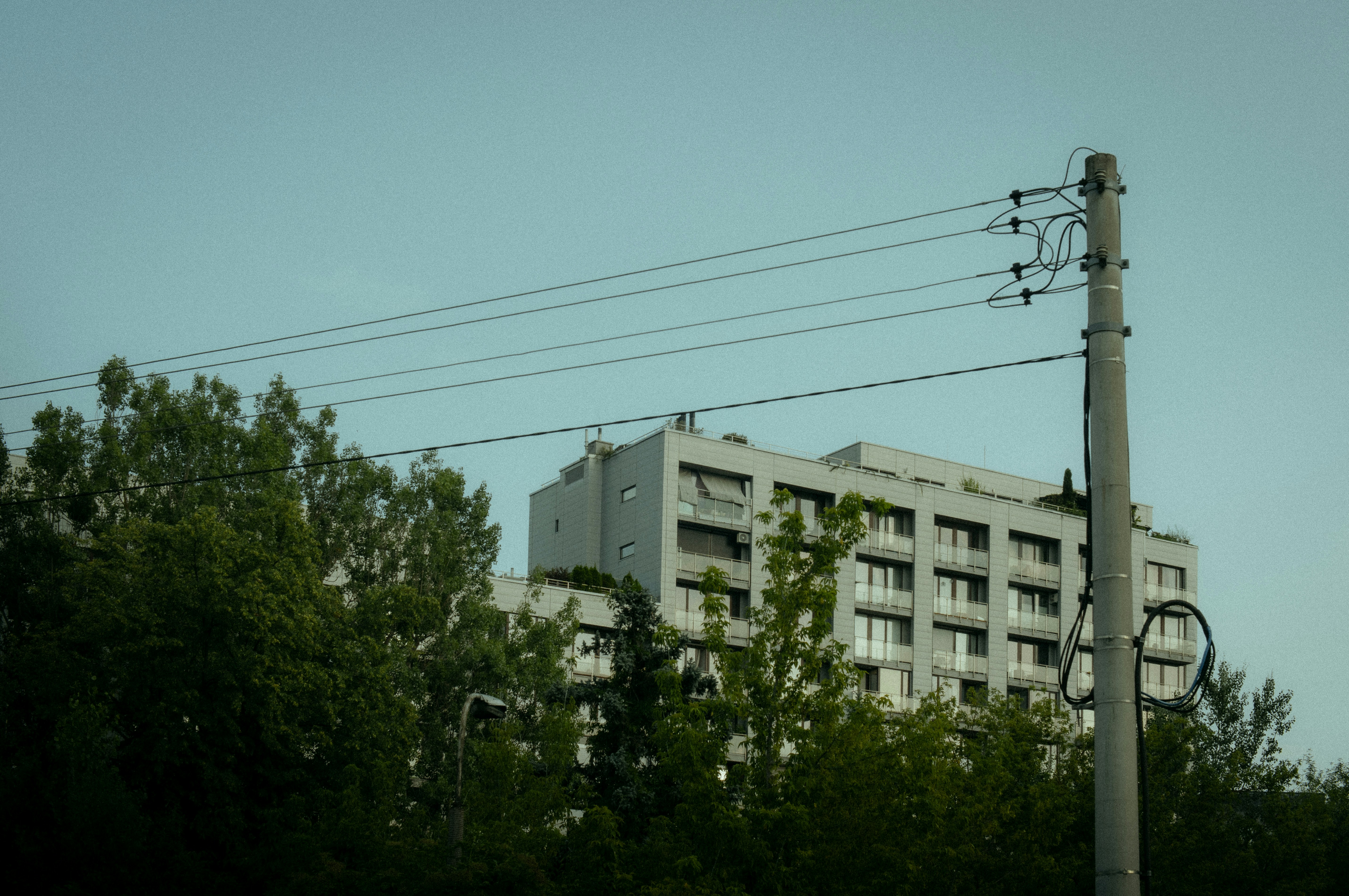 A distant apartment block rises above green treetops beneath a clear sky, with utility poles and wires crossing the frame.