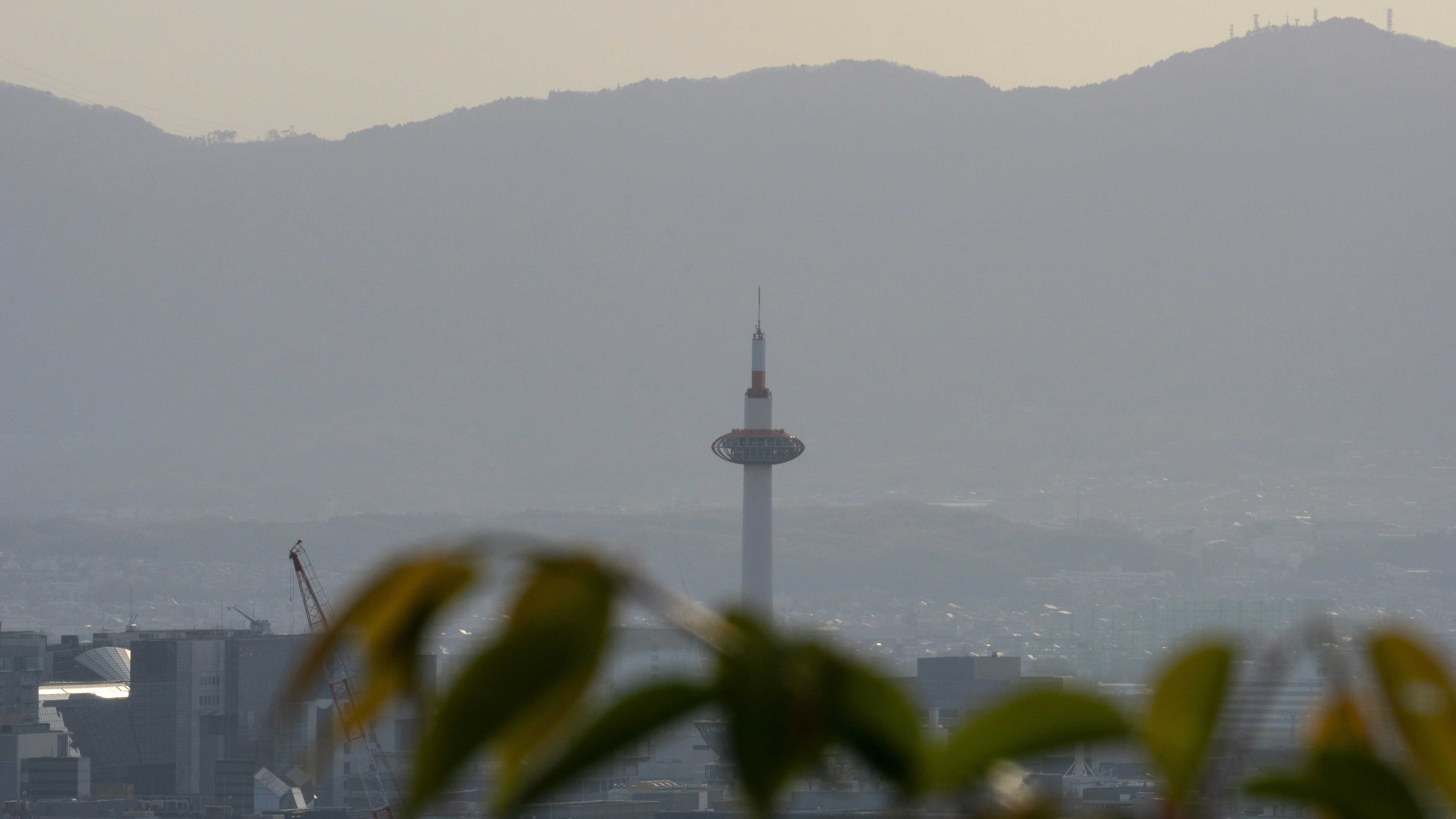 Midday City Silhouette With a Tower Spire