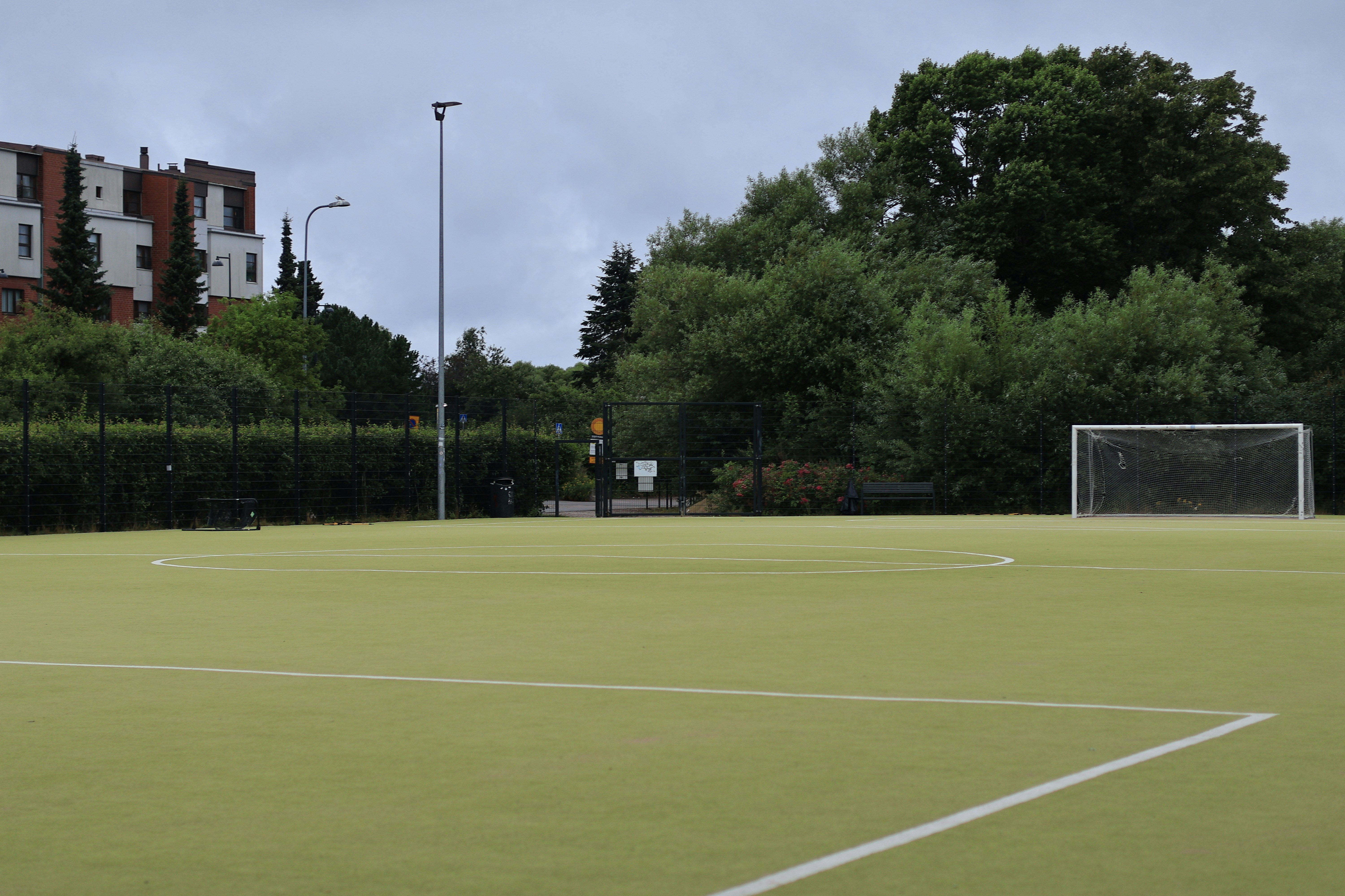 Empty Futbol Field at Dusk: Green Turf Beneath Urban Trees