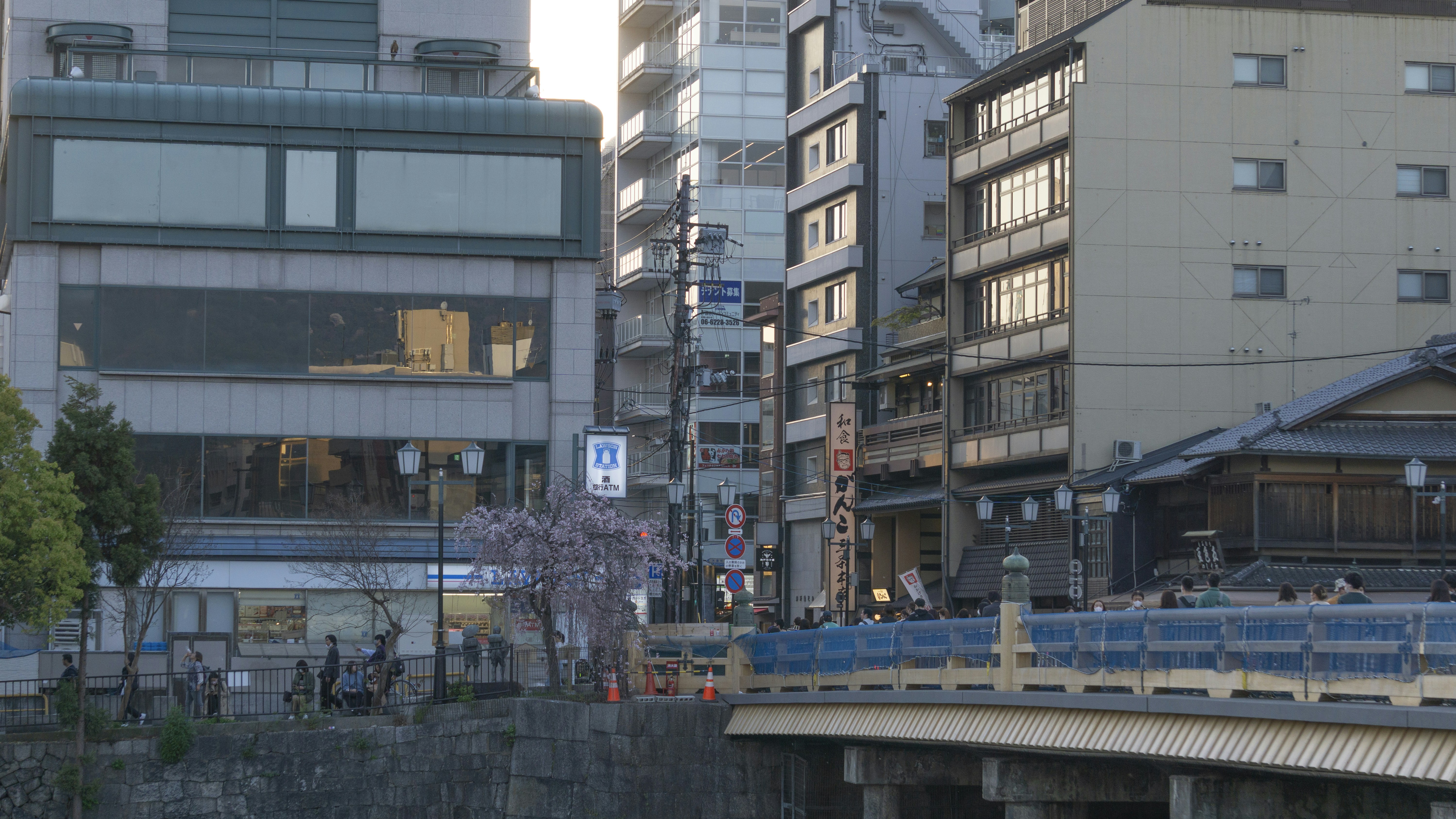 Urban Chorus: A Quiet Amidst Neon and Bridges