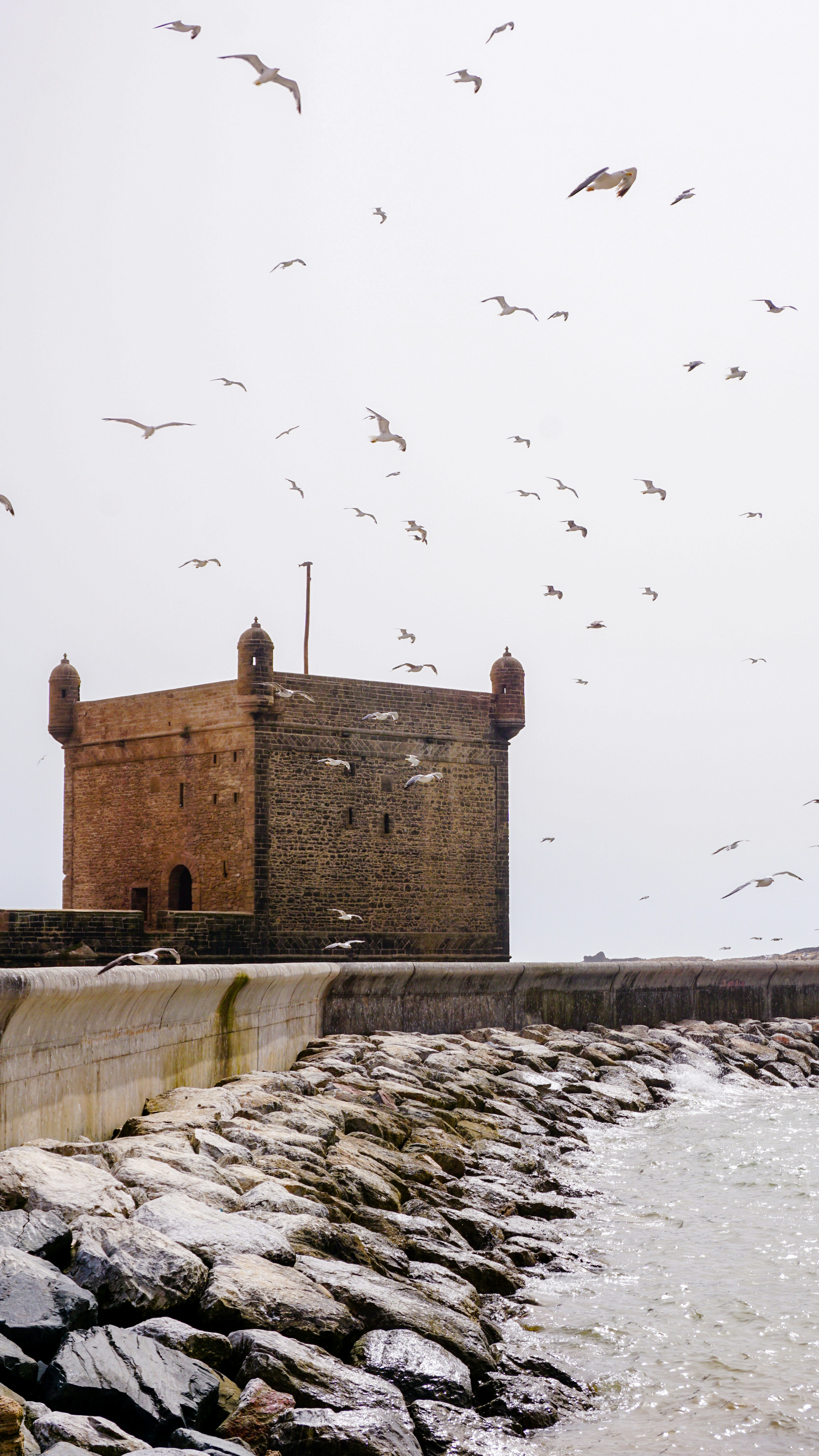 A brown stone coastal fortification sits at water's edge while a flock of seagulls fills the pale sky above the breakwater and rocky shoreline.