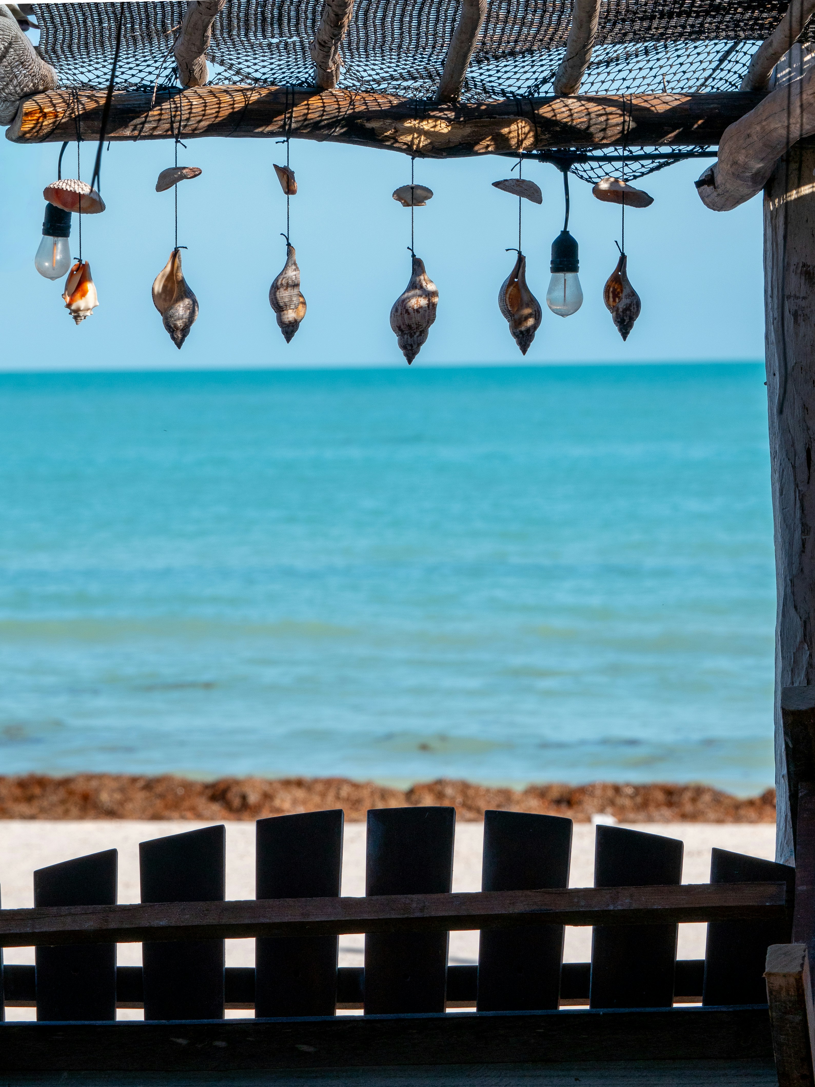 Sea Lighters: Coastal Tea Party Under a Driftwood Shade