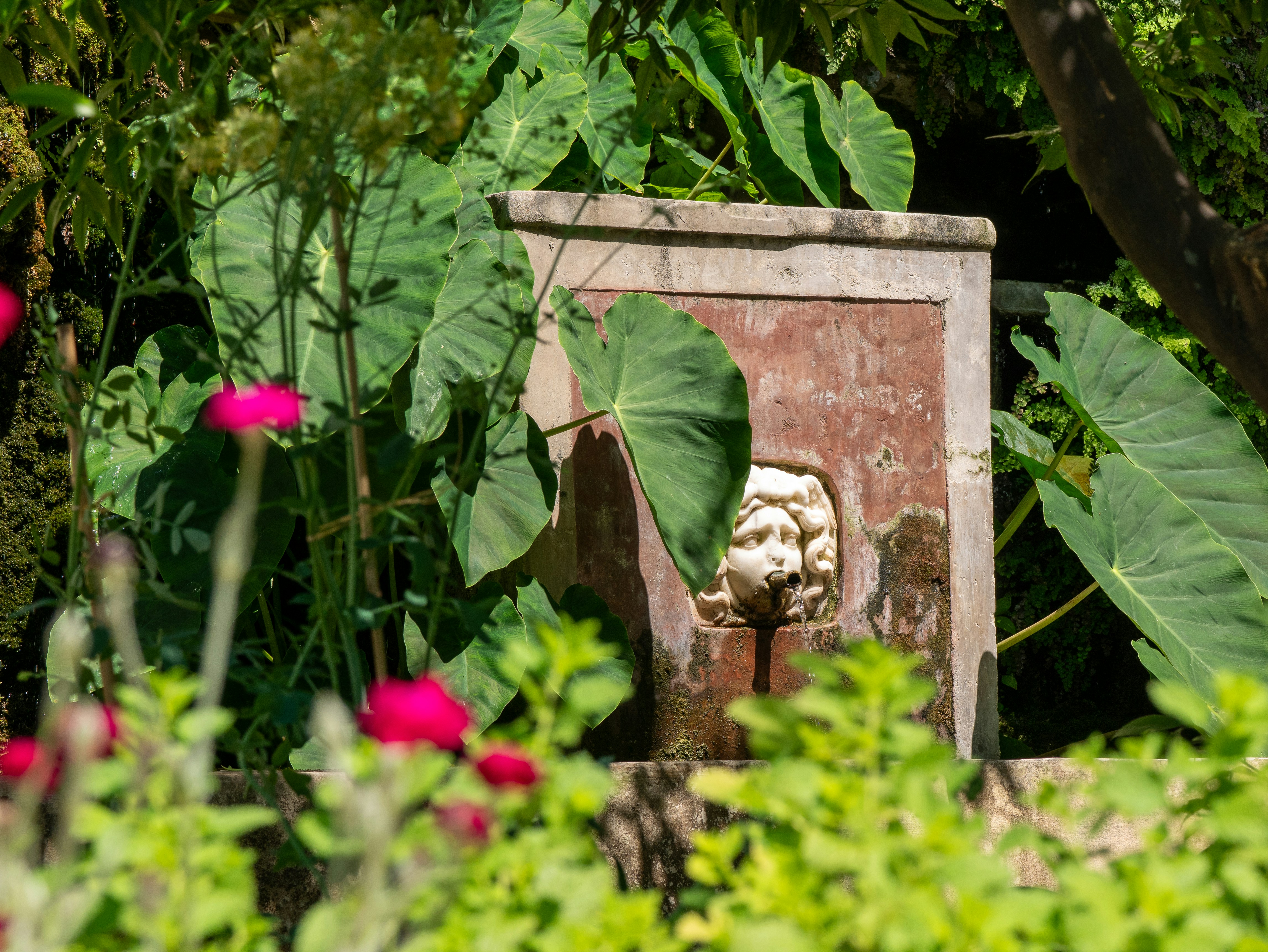 Stone Fountain Nook Surrounded by Lush Greenery