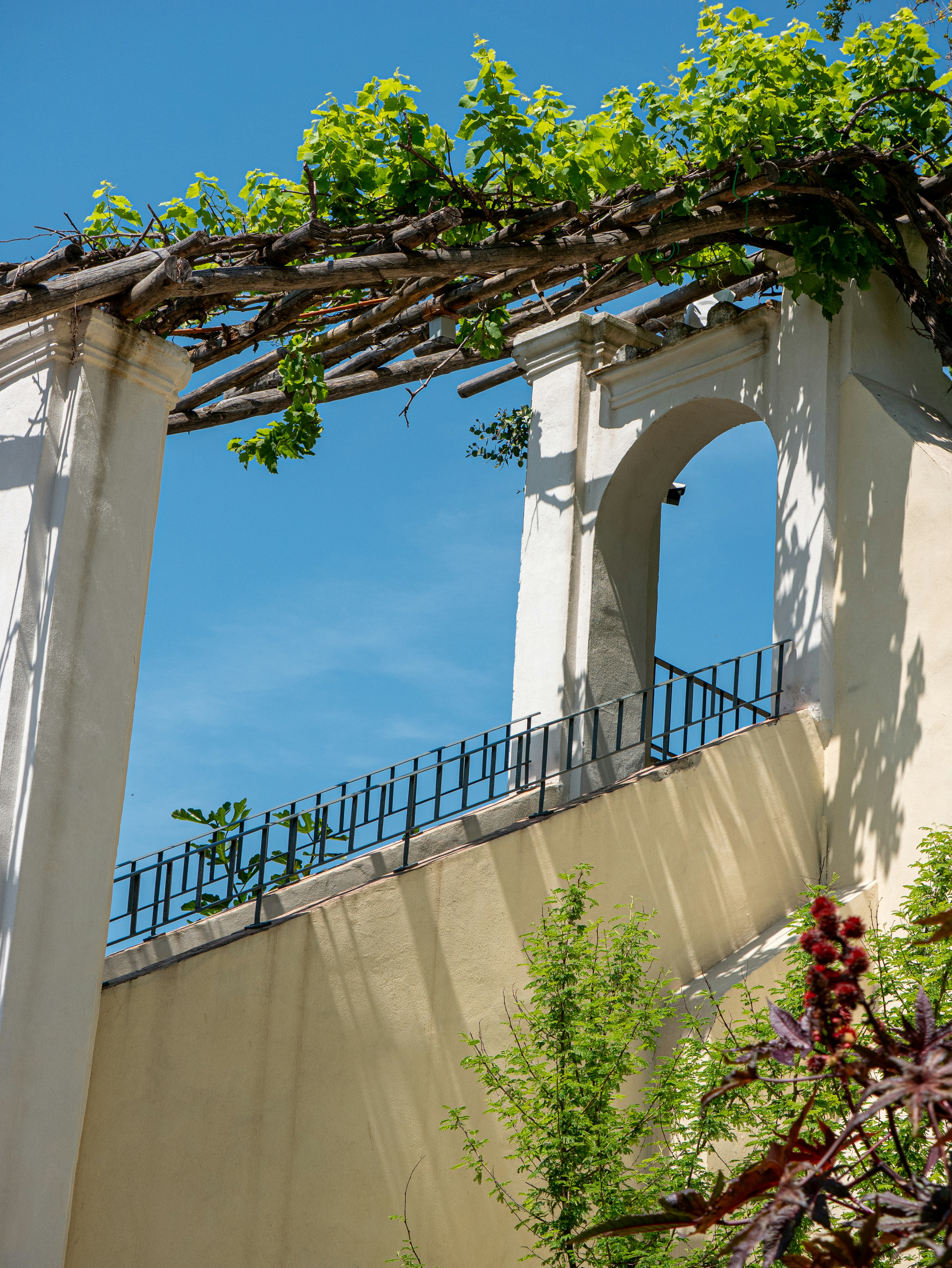 Sunlit Archway with Grape Pergola Overlooking a Quiet Terrace