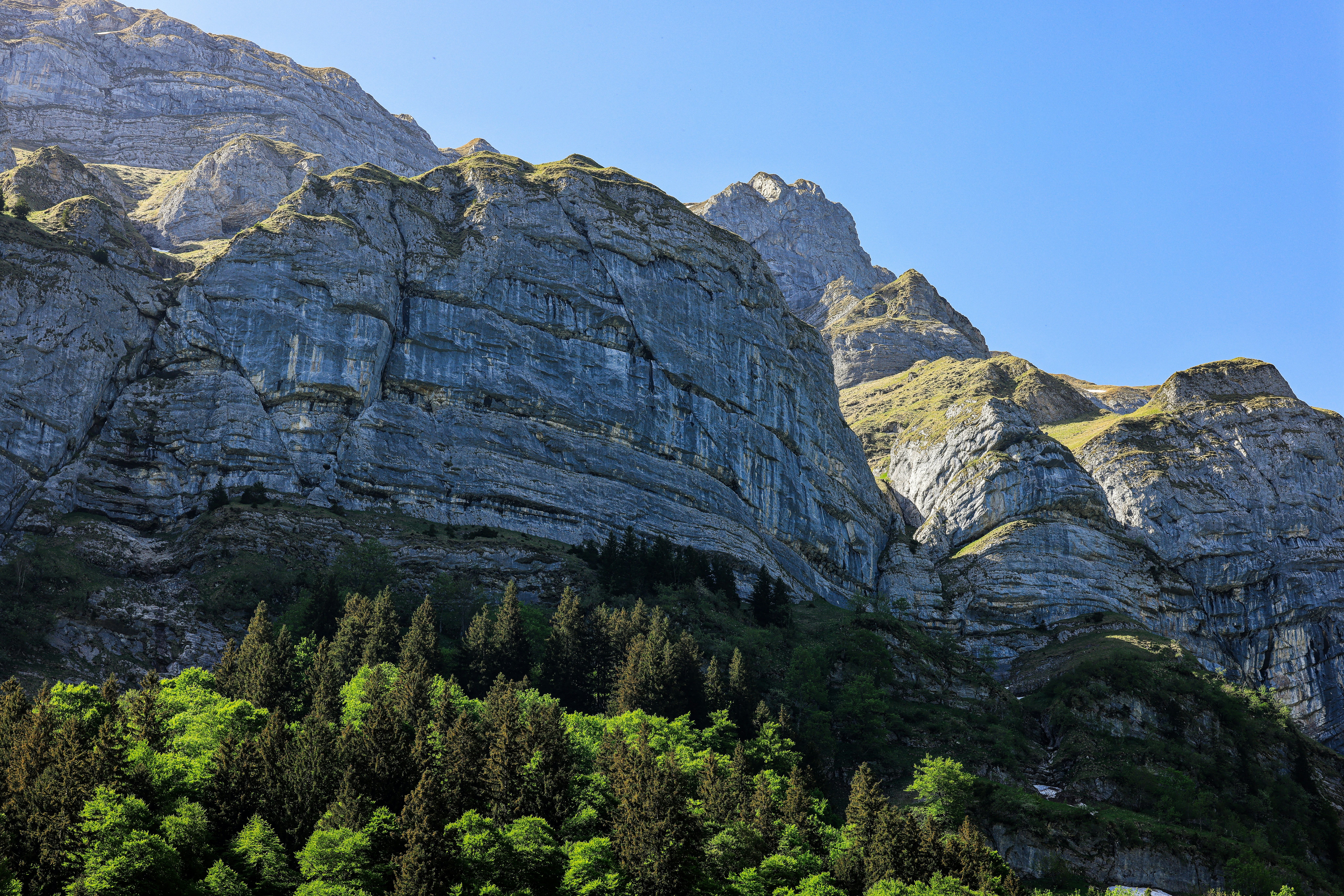 Sunlit cliffs over a pine forest