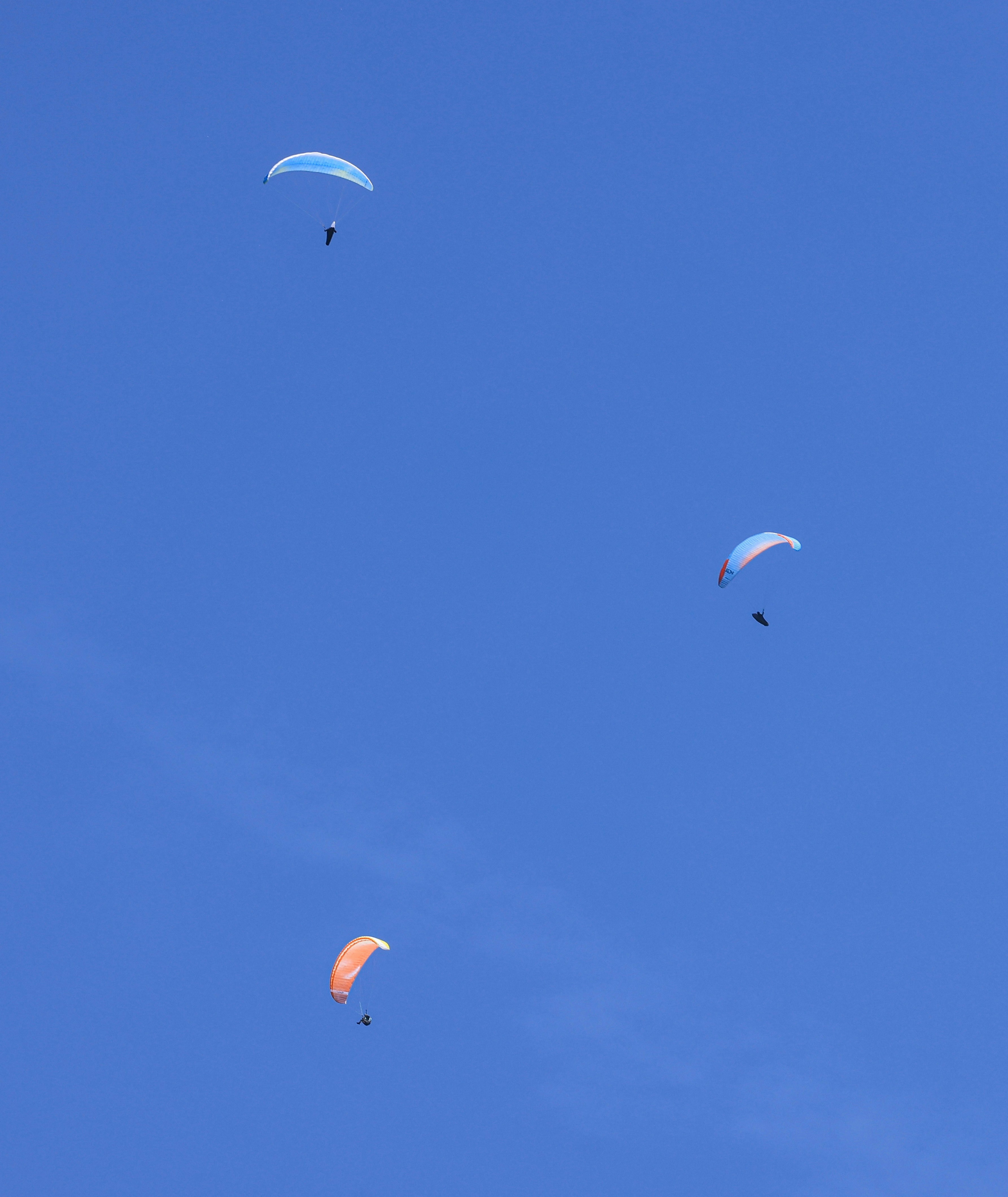 Triad of Freefall: Paragliders Slip Through a Clear Blue Sky