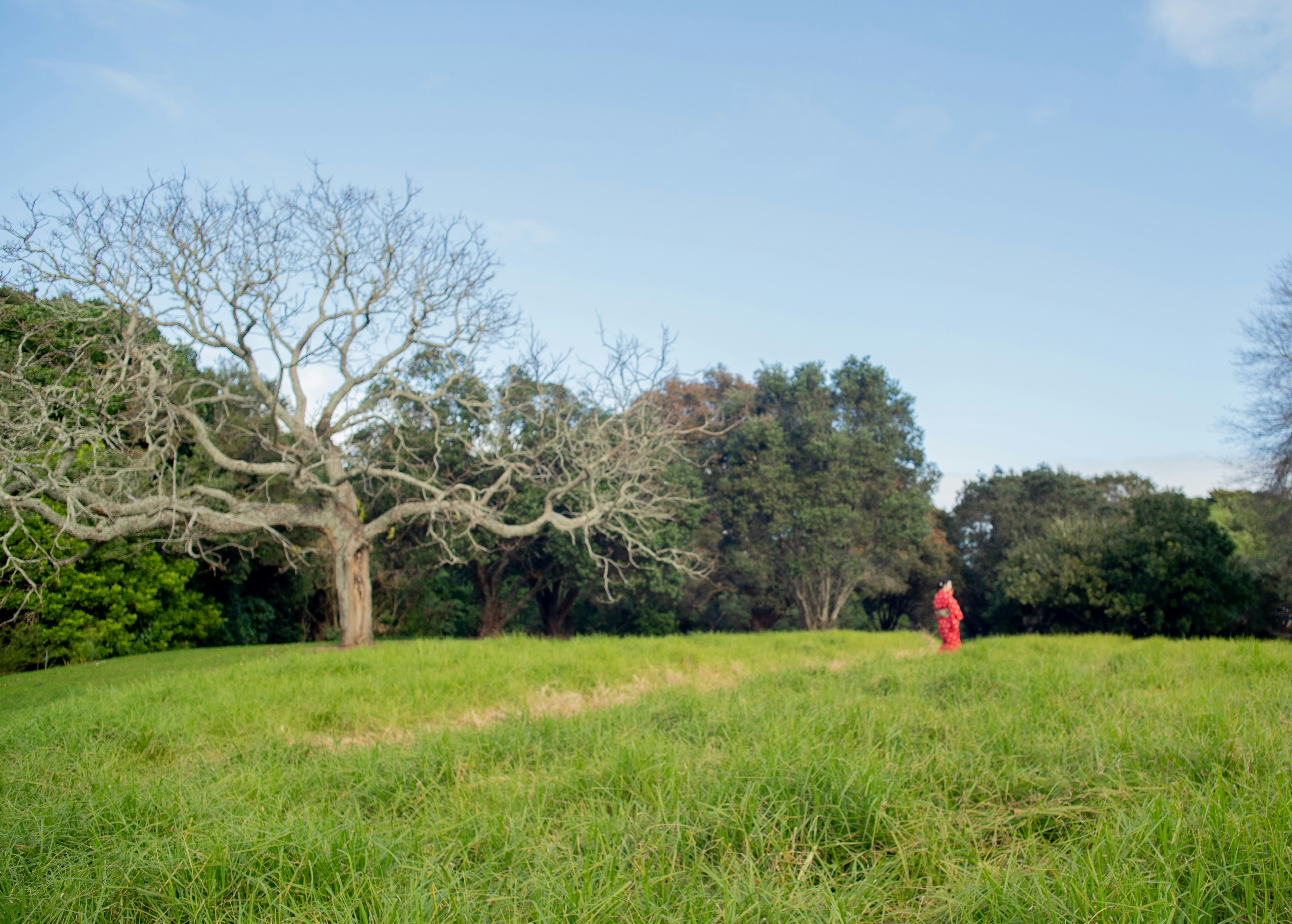 Red Figure in the Meadow: A Lone Presence Under Open Sky