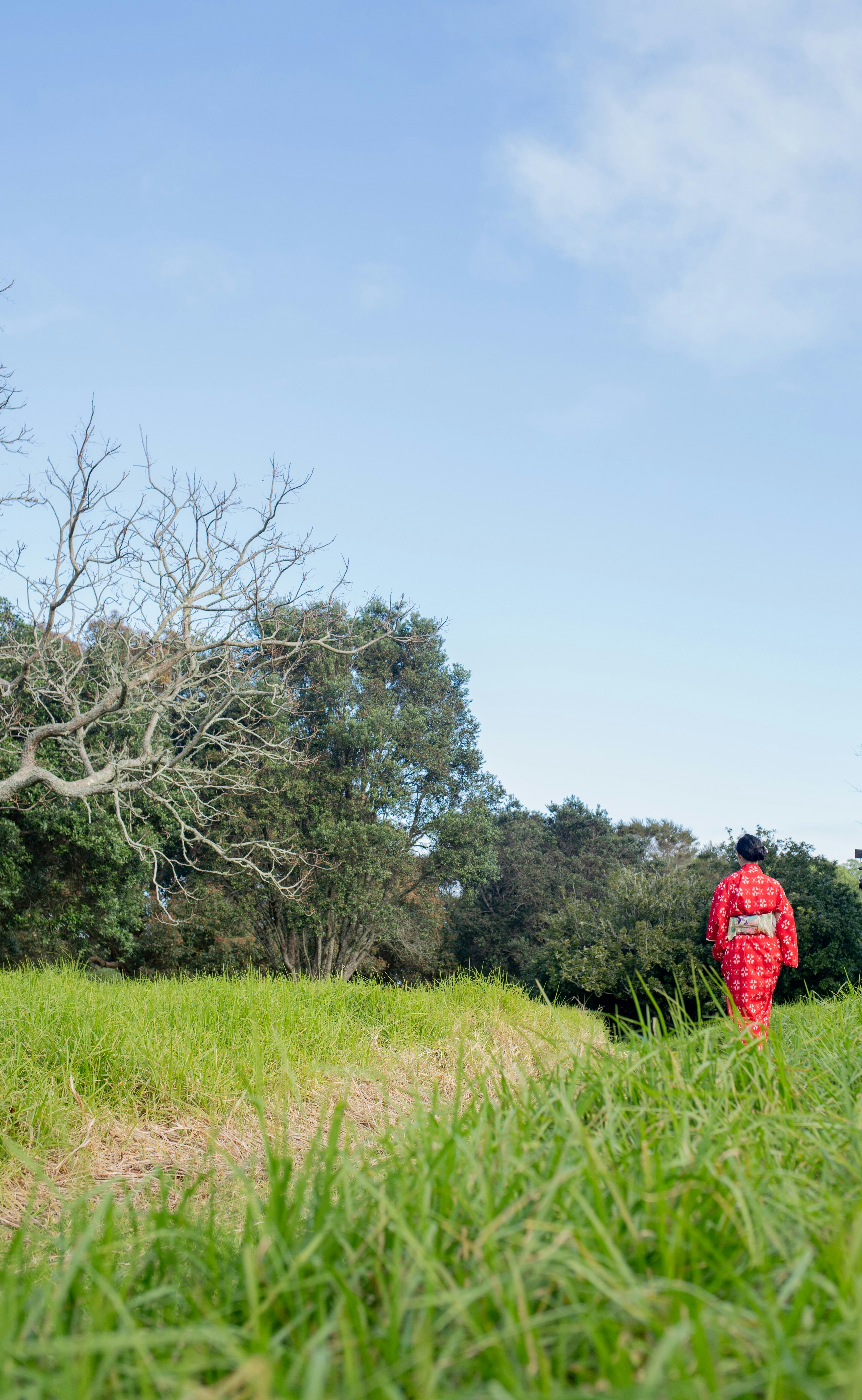 Red kimono, green field, clear sky: a lone traveler in a quiet landscape