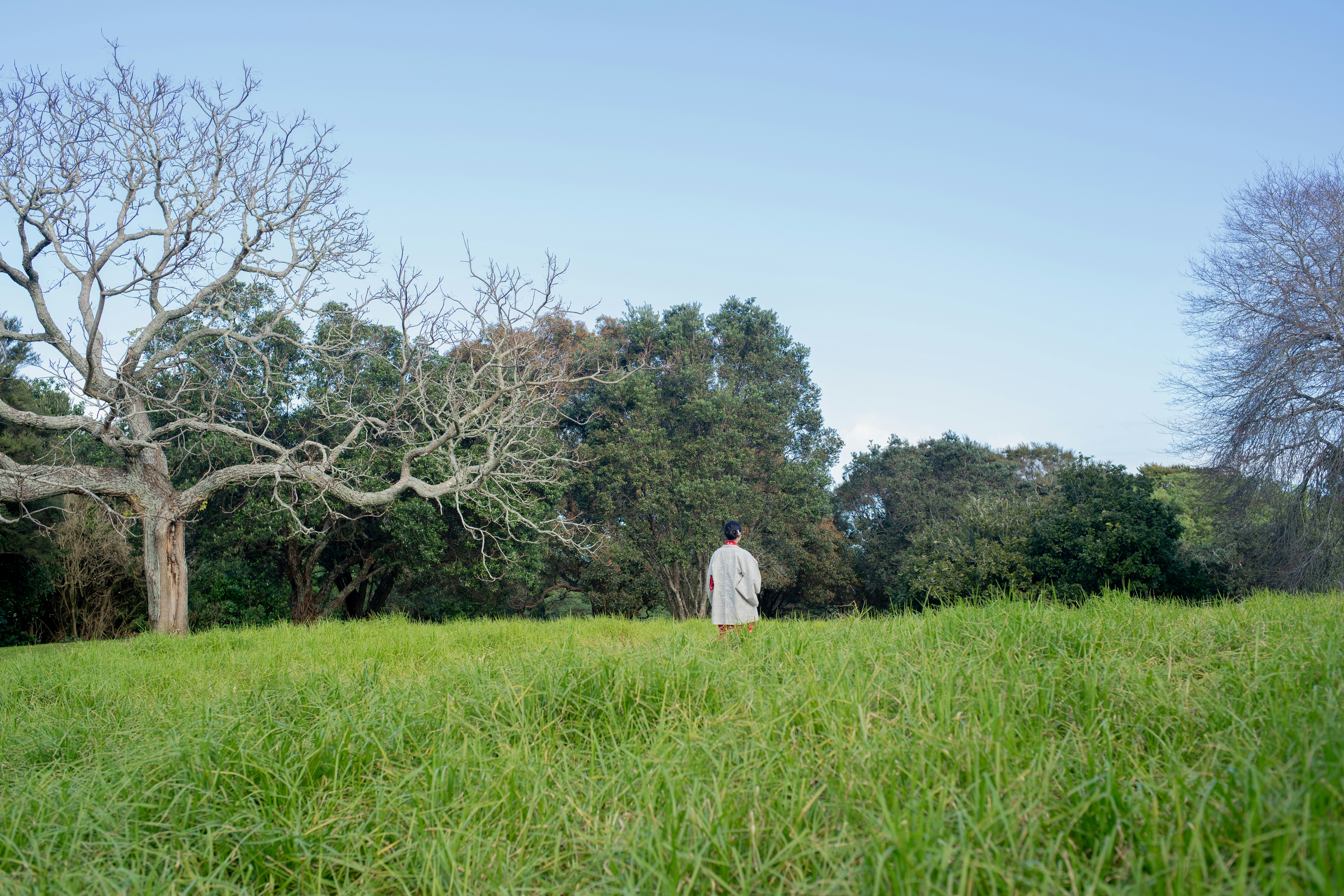 Lonely Walker in a Sunlit Meadow under Open Sky