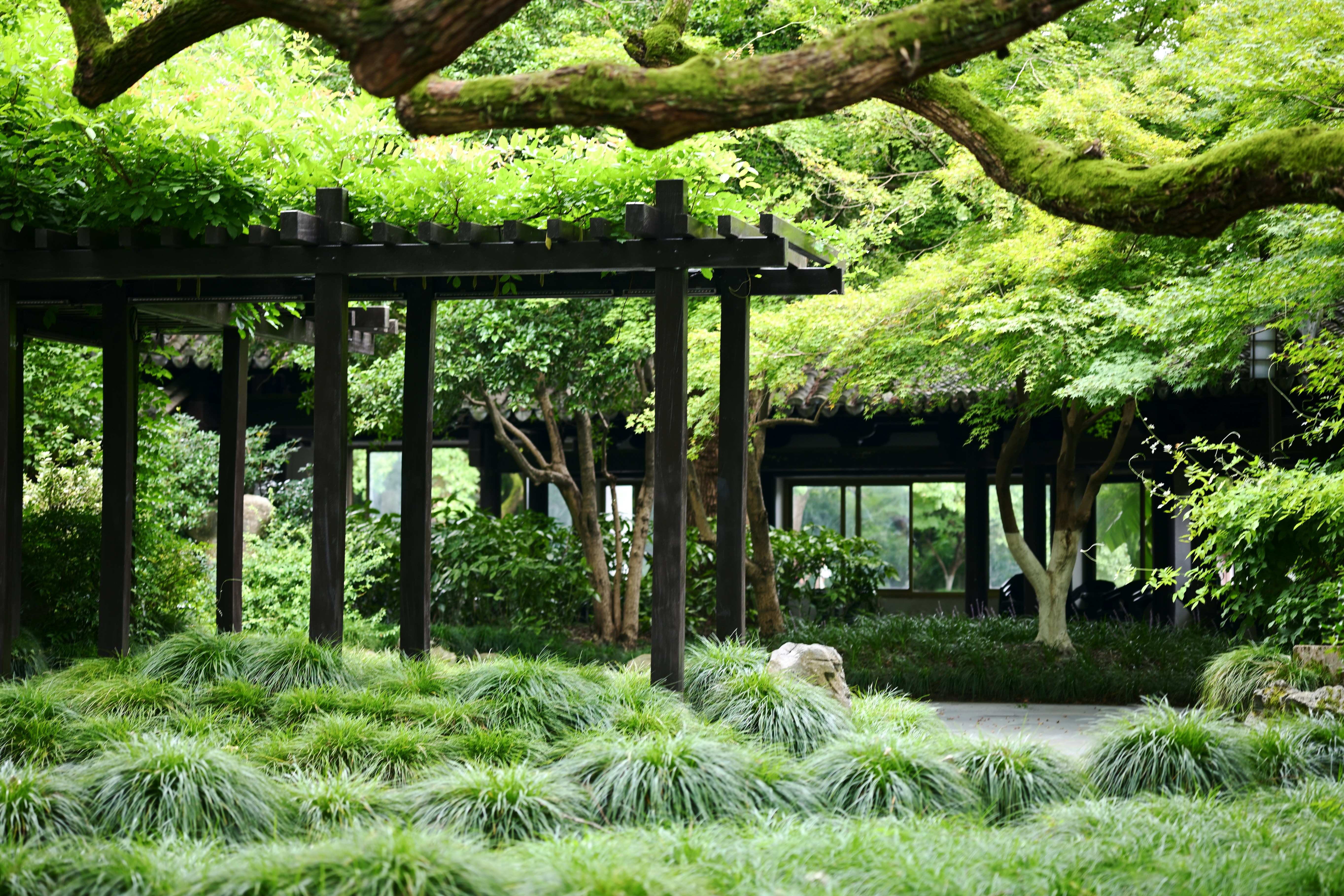Quiet Pavilion among rippling greenery