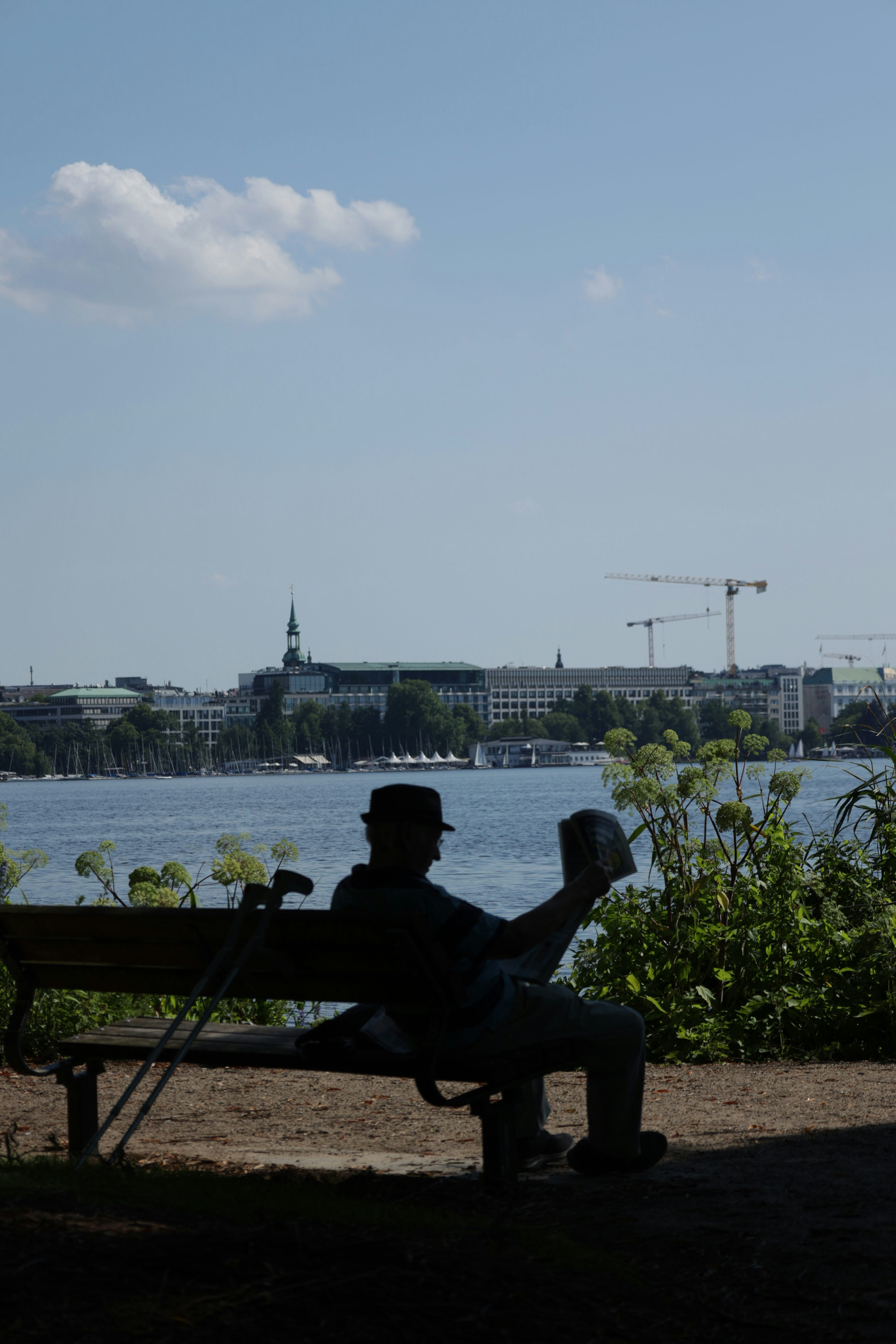 Silhouette of a Seated Reader by the Waterfront