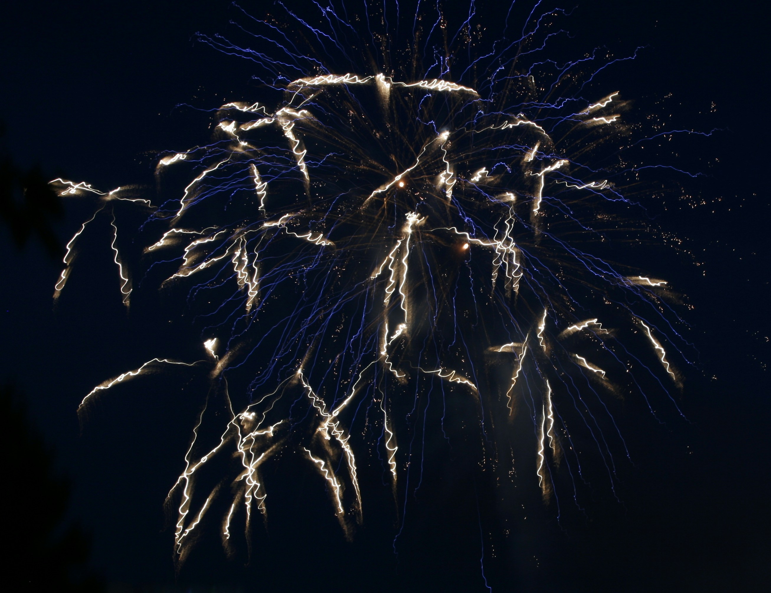 Night Burst: Firework Bouquet Across a Velvet Sky