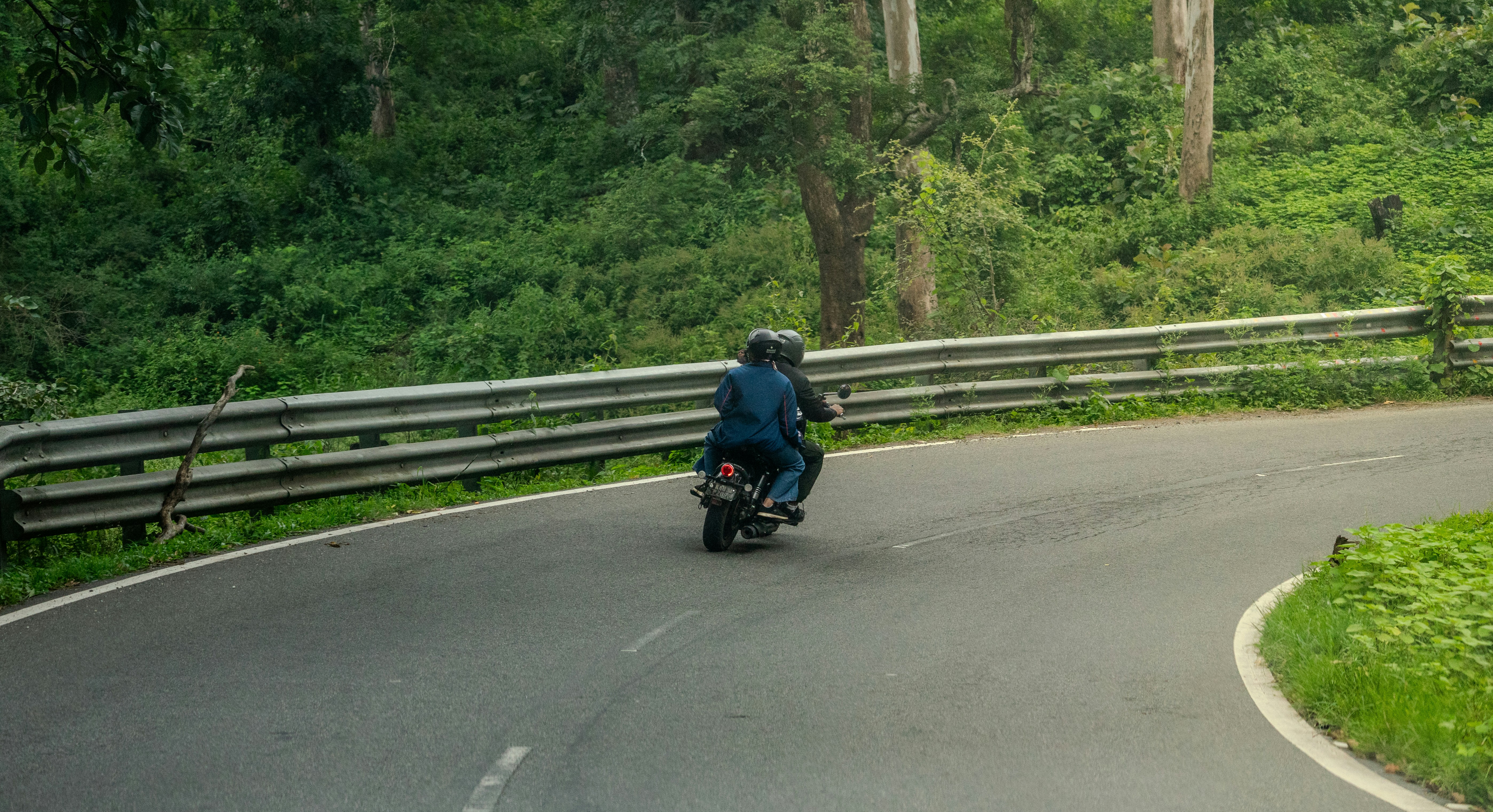 Curving Roadrunner: A Rider Navigates a Quiet Forest Bend