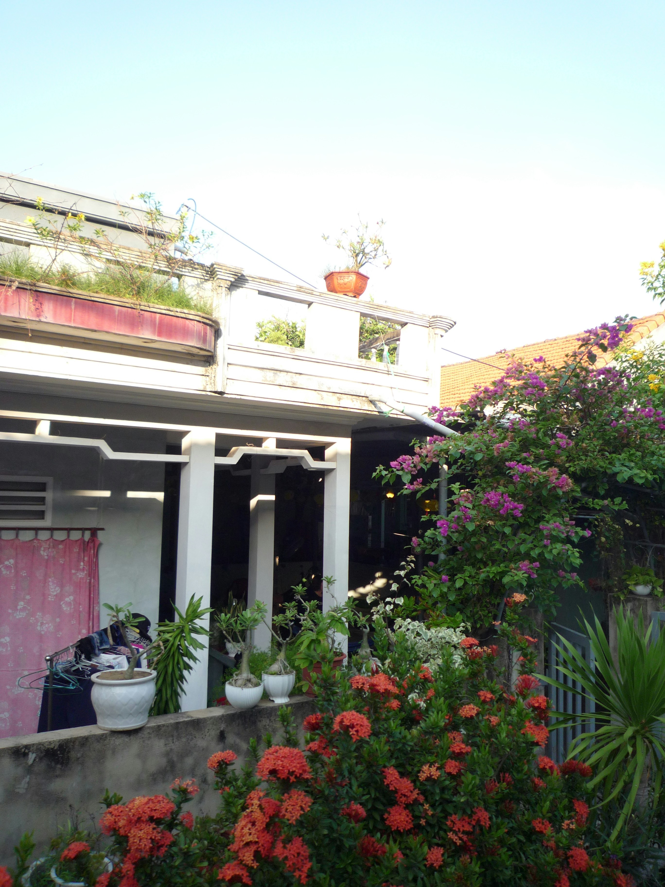 Flowering Balcony over a Quiet Patio