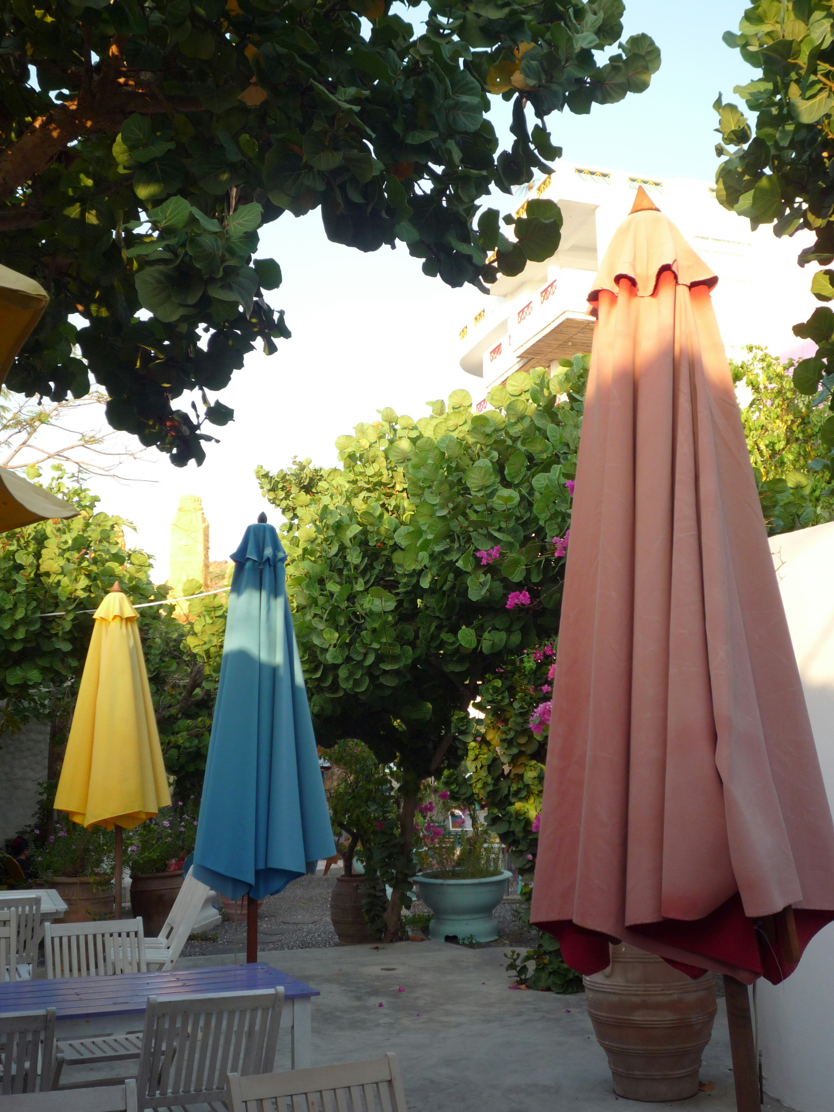 Sunlit Patio with Folded Umbrellas Amid Lush Foliage