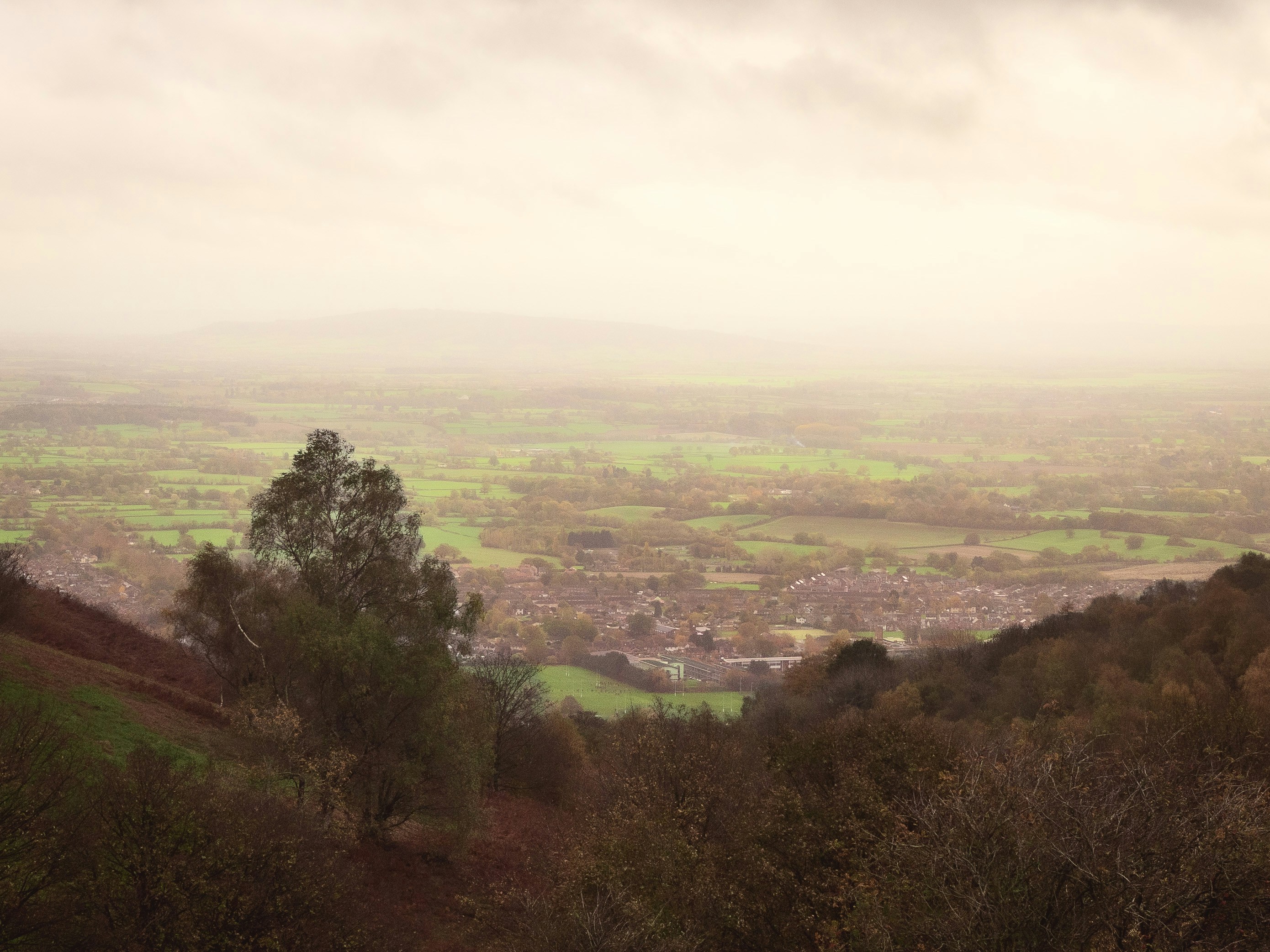 Horizon Vale: A Quiet Basin Beneath Soft Morning Light