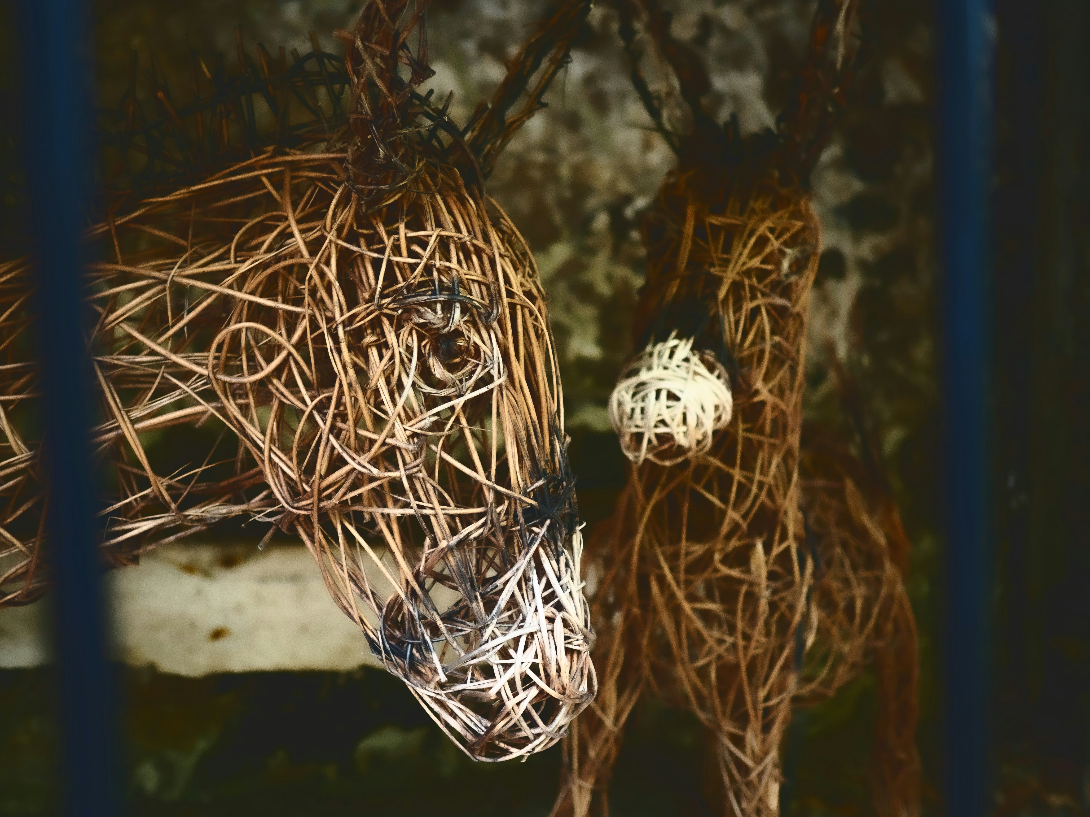 Woven Emptiness: A Lucrative Portrait in Twine and Shadow