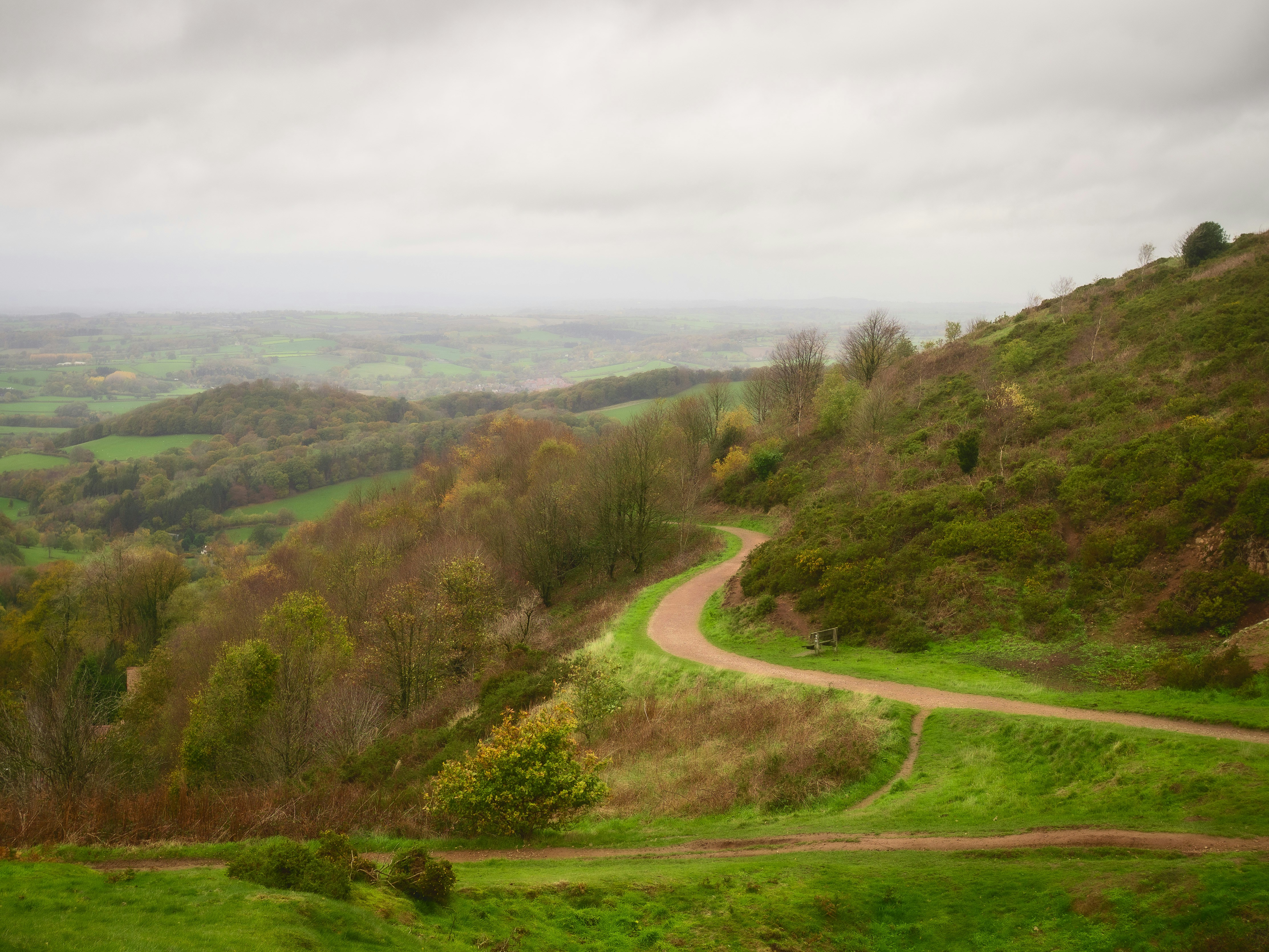 Winding Creek Amid Rolling Hills: A Quiet Channel Through Spring Verdure